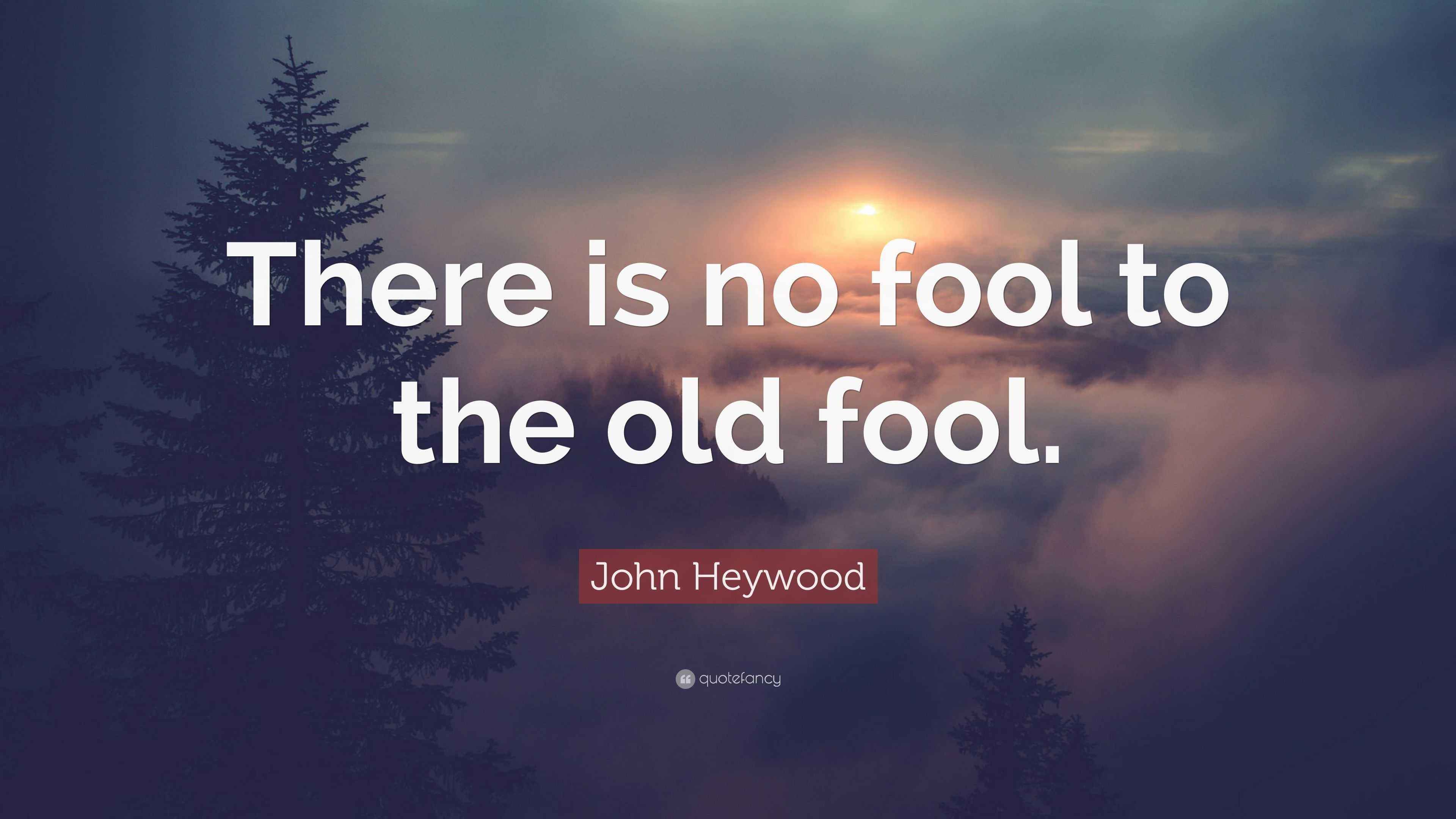 John Heywood Quote: “There is no fool to the old fool.”