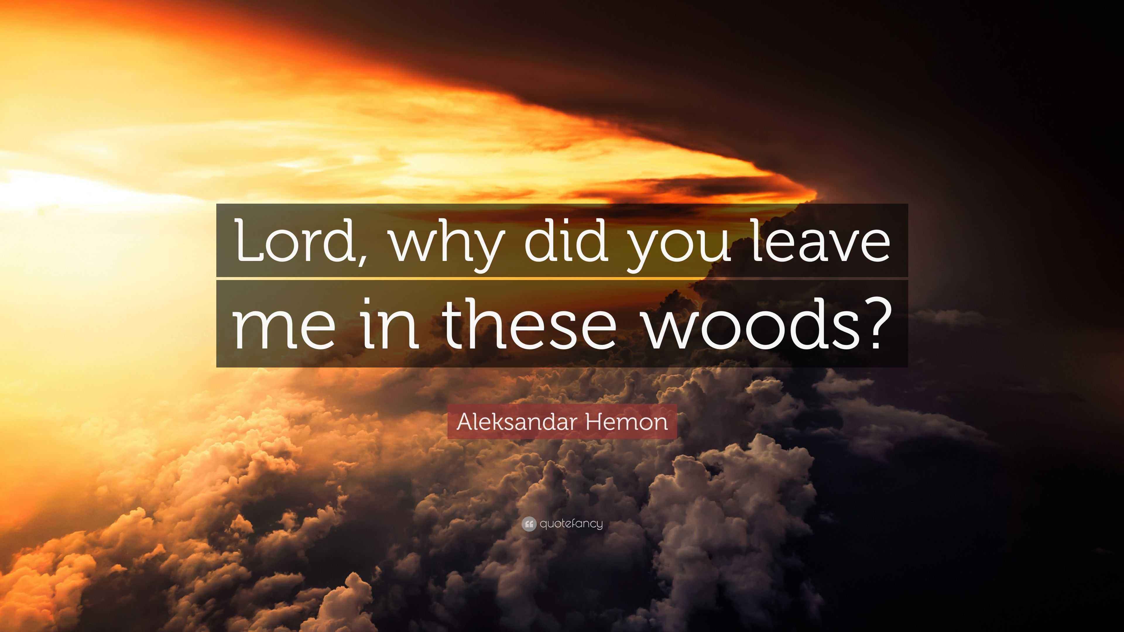 Aleksandar Hemon Quote: “Lord, why did you leave me in these woods?”