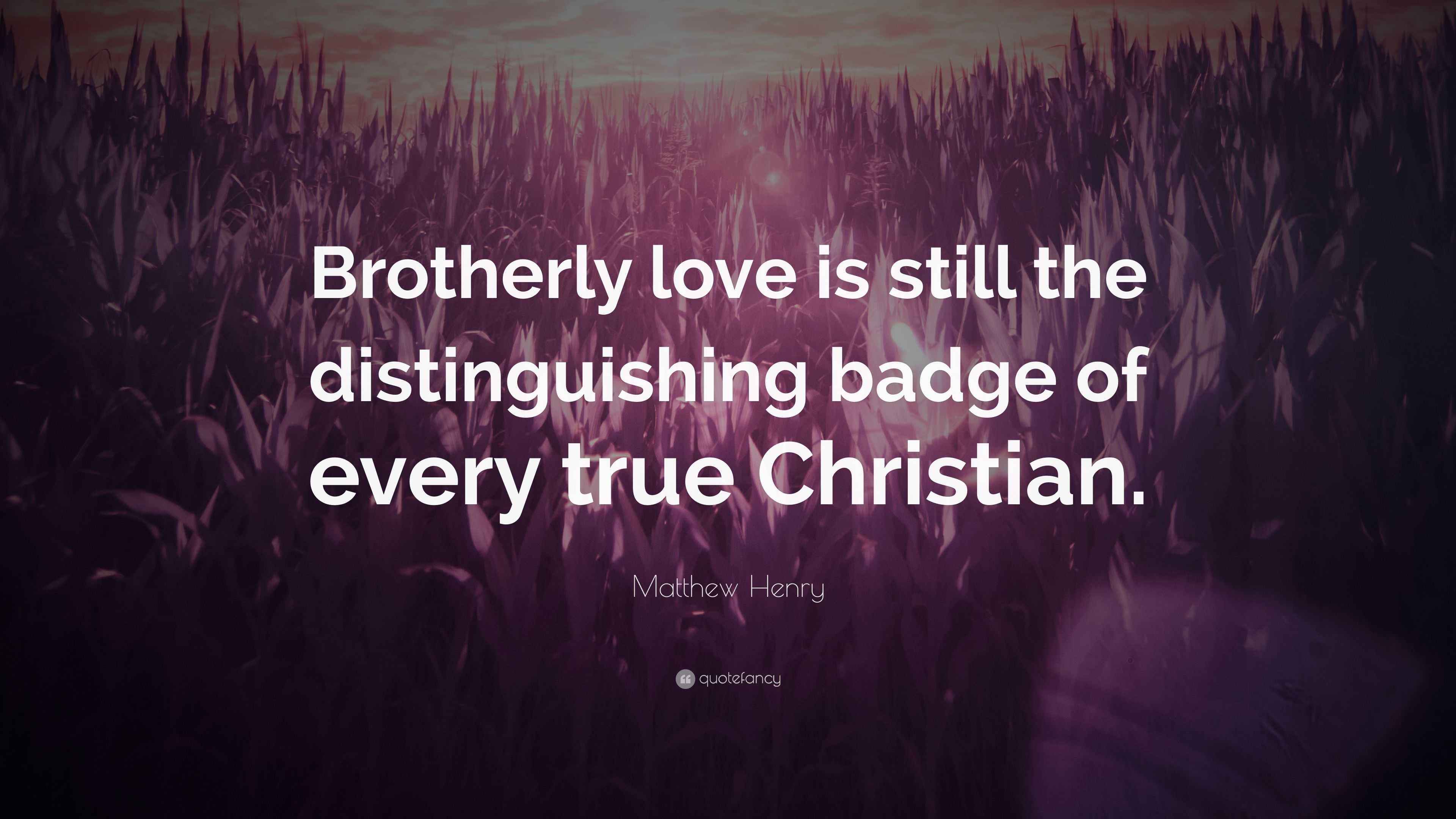 Matthew Henry Quote: “Brotherly love is still the distinguishing badge ...