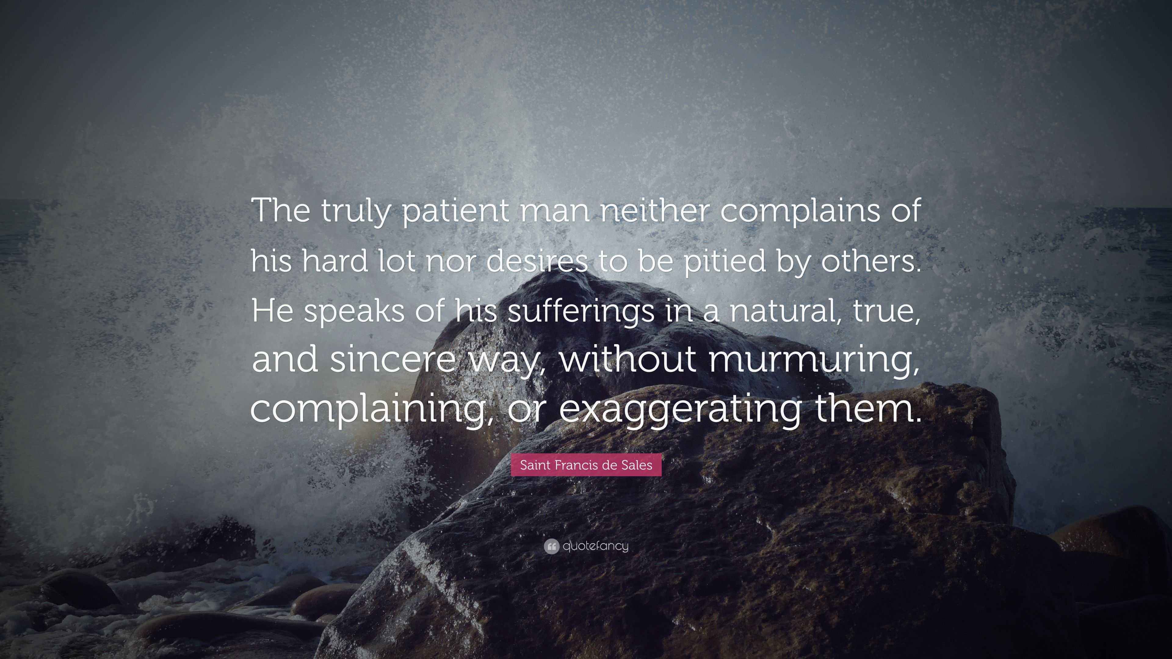 Saint Francis de Sales Quote: “The truly patient man neither complains ...