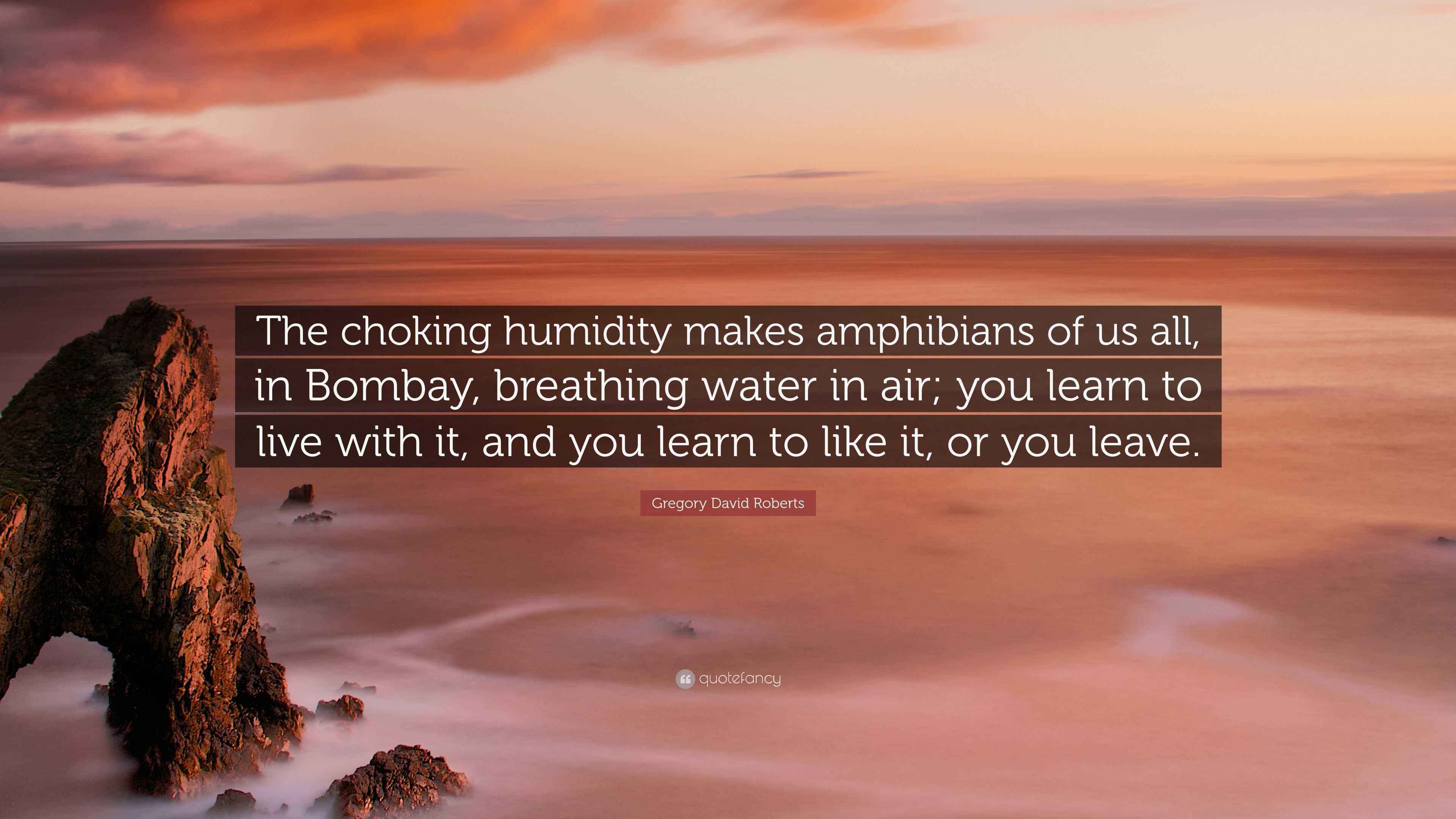 Gregory David Roberts Quote: “The choking humidity makes amphibians of ...