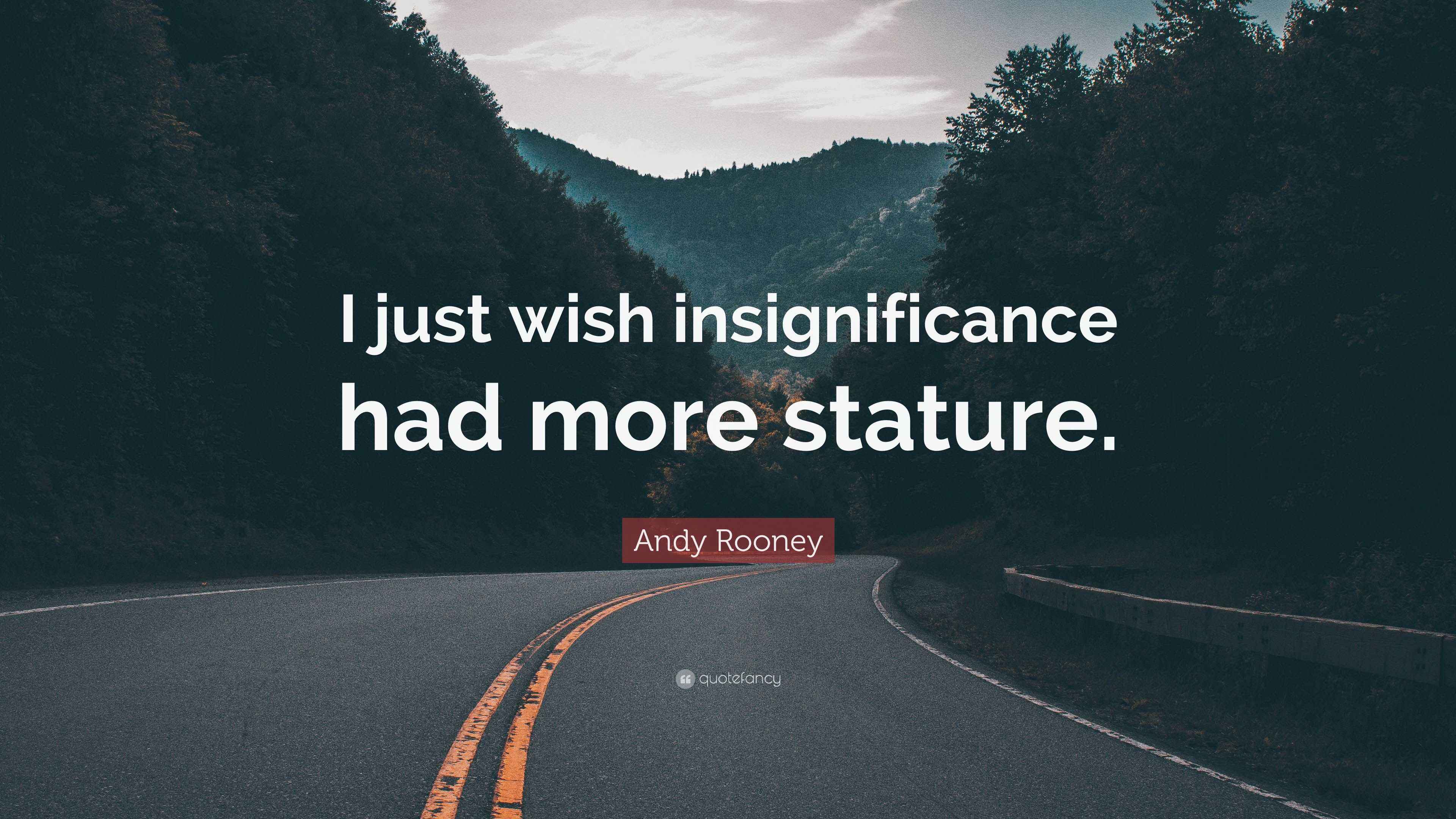 Andy Rooney Quote: “I just wish insignificance had more stature.”