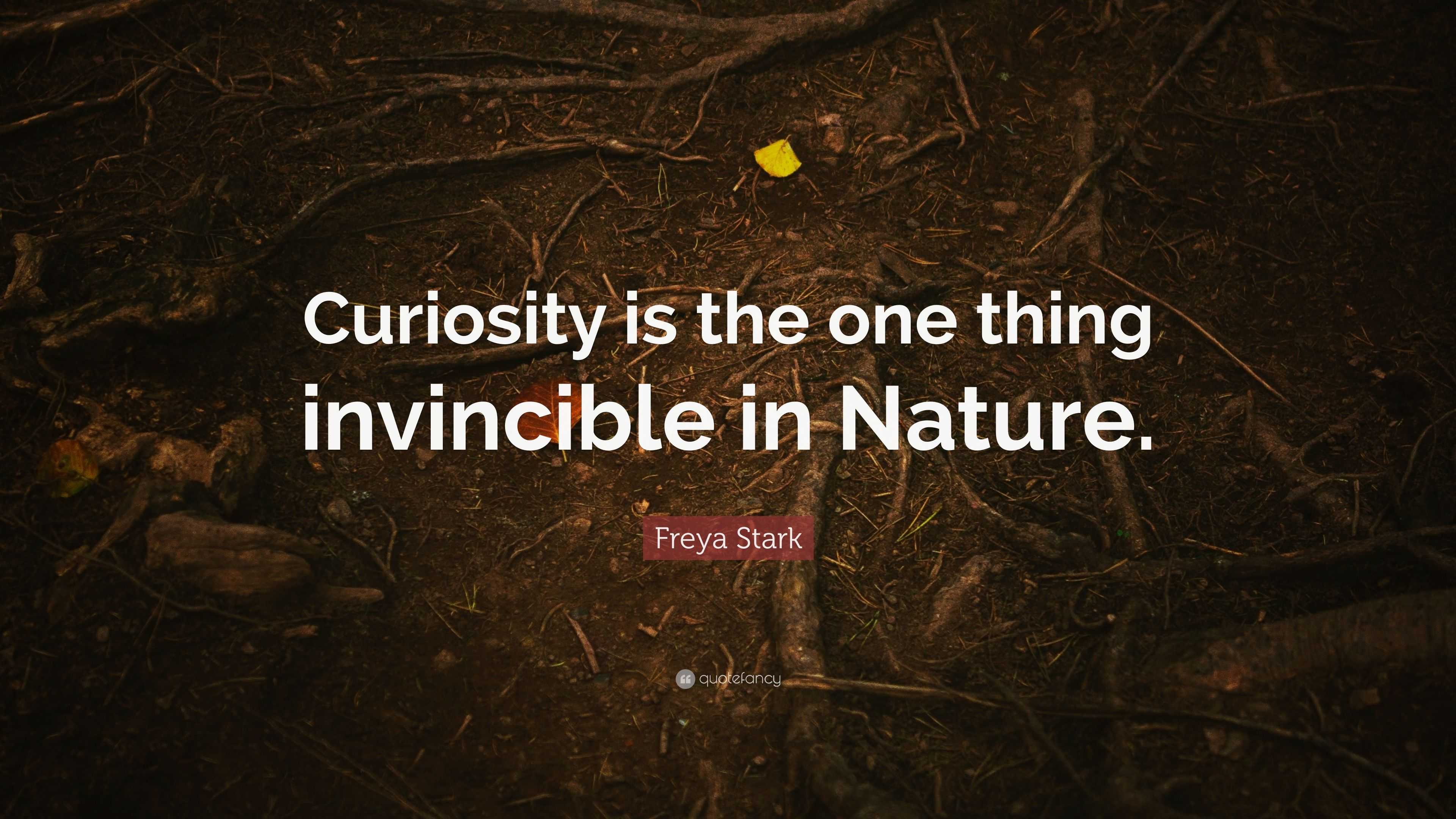 Freya Stark Quote: “Curiosity is the one thing invincible in Nature.”