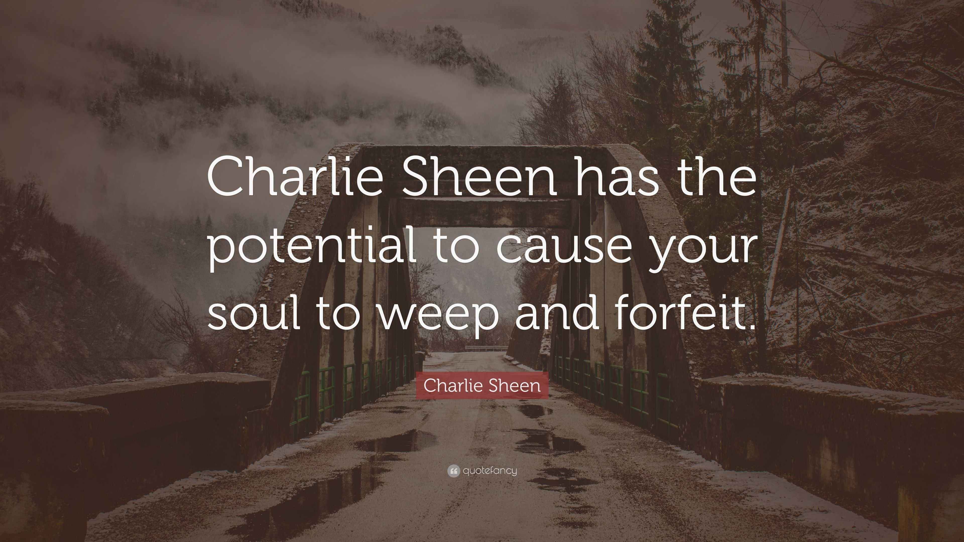 Charlie Sheen Quote: “Charlie Sheen has the potential to cause your ...