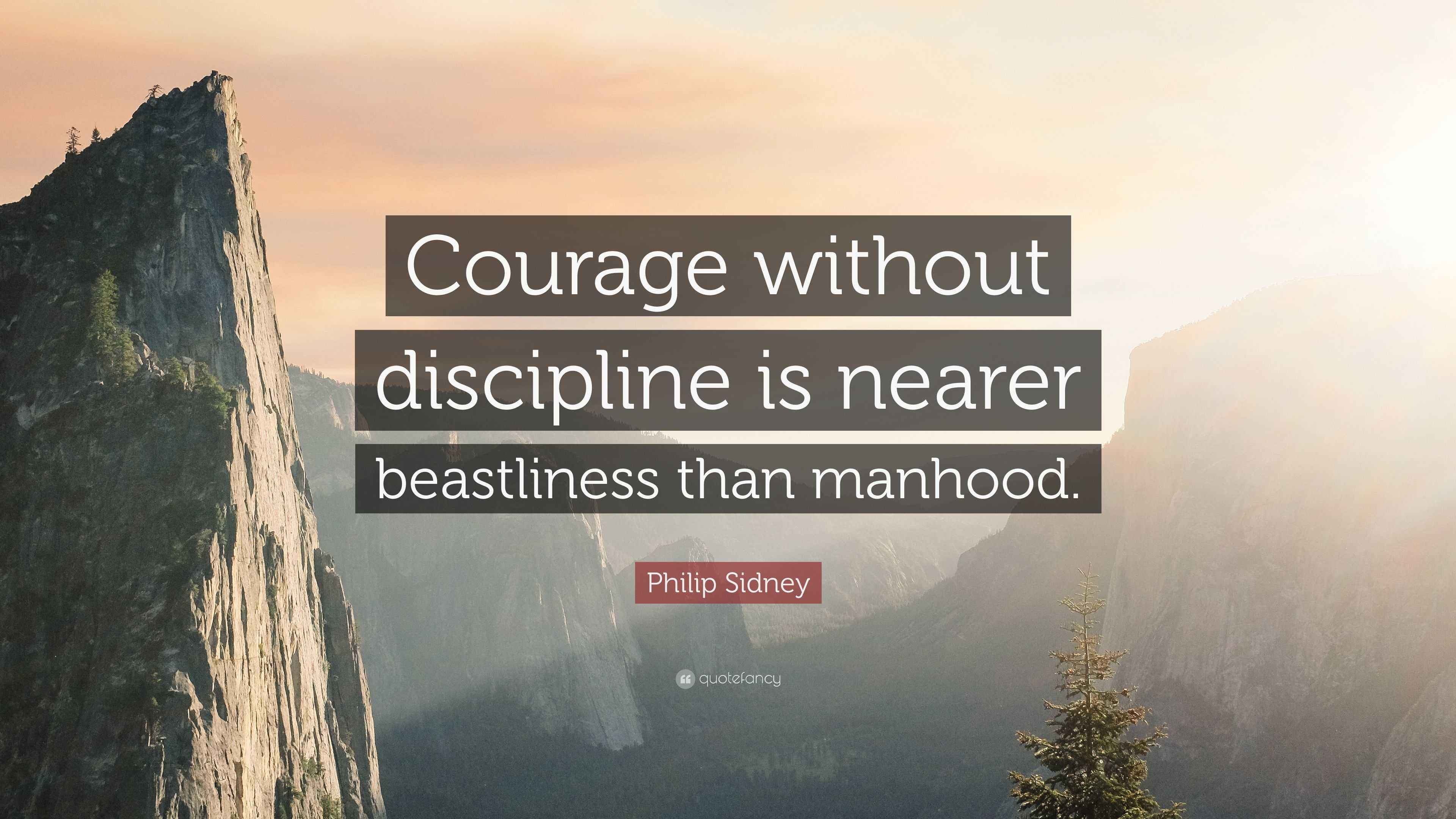 Philip Sidney Quote: “Courage without discipline is nearer beastliness ...