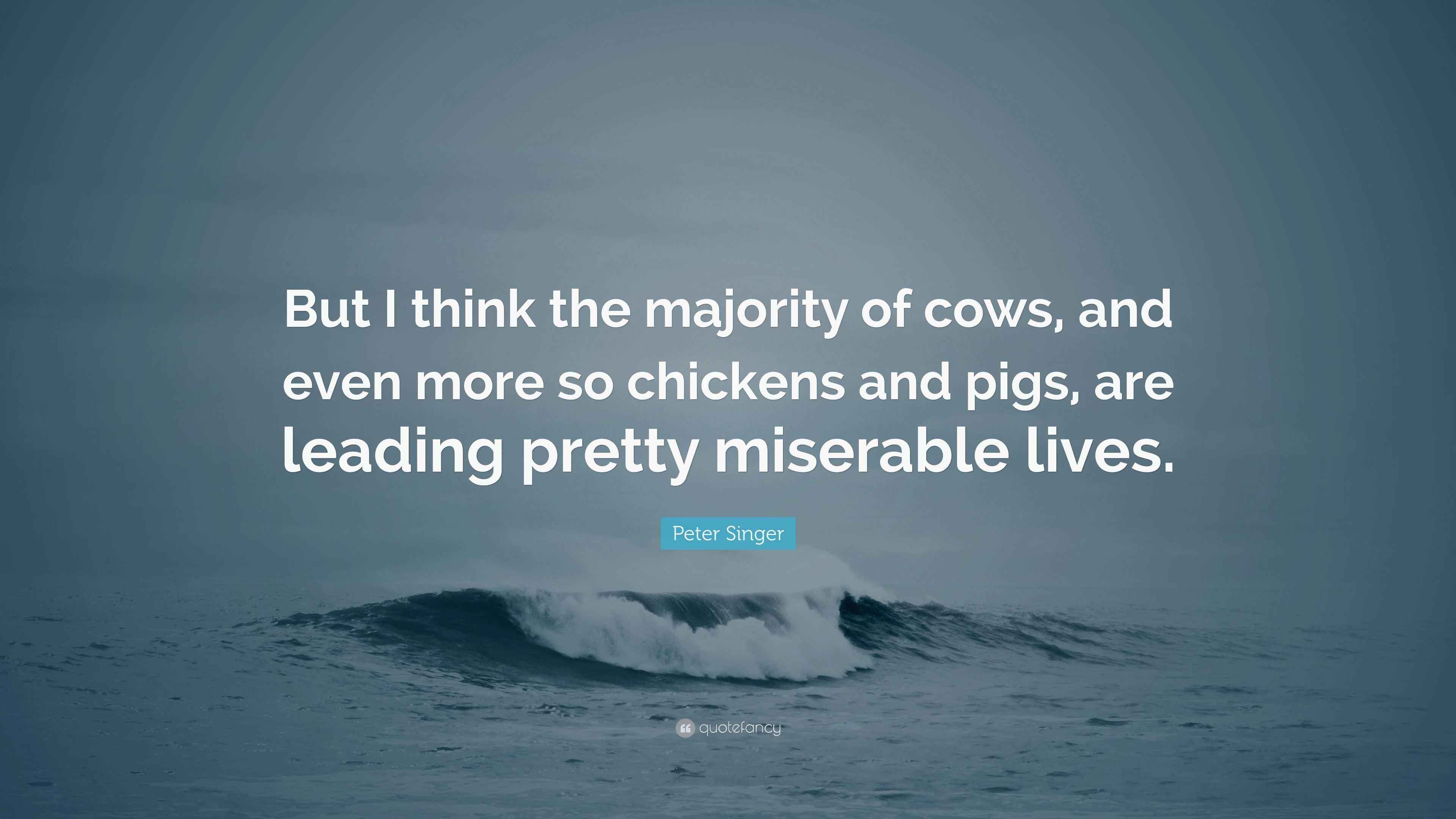 Peter Singer Quote: “But I think the majority of cows, and even more so ...