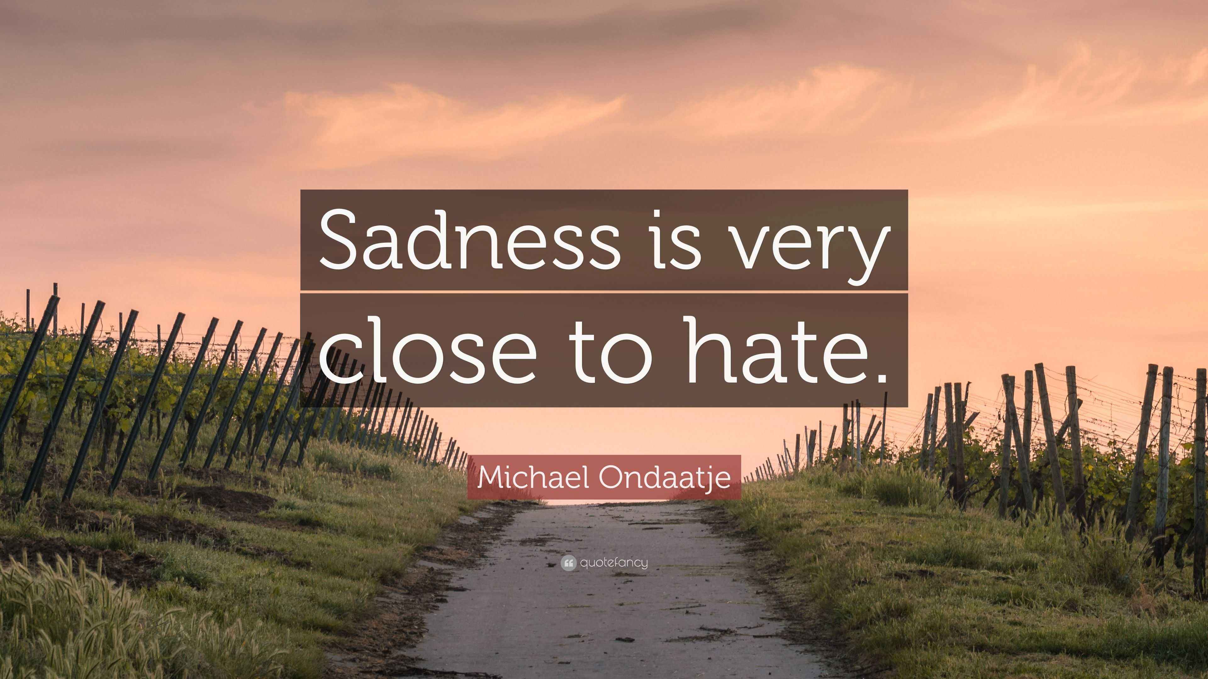 Michael Ondaatje Quote: “Sadness is very close to hate.”