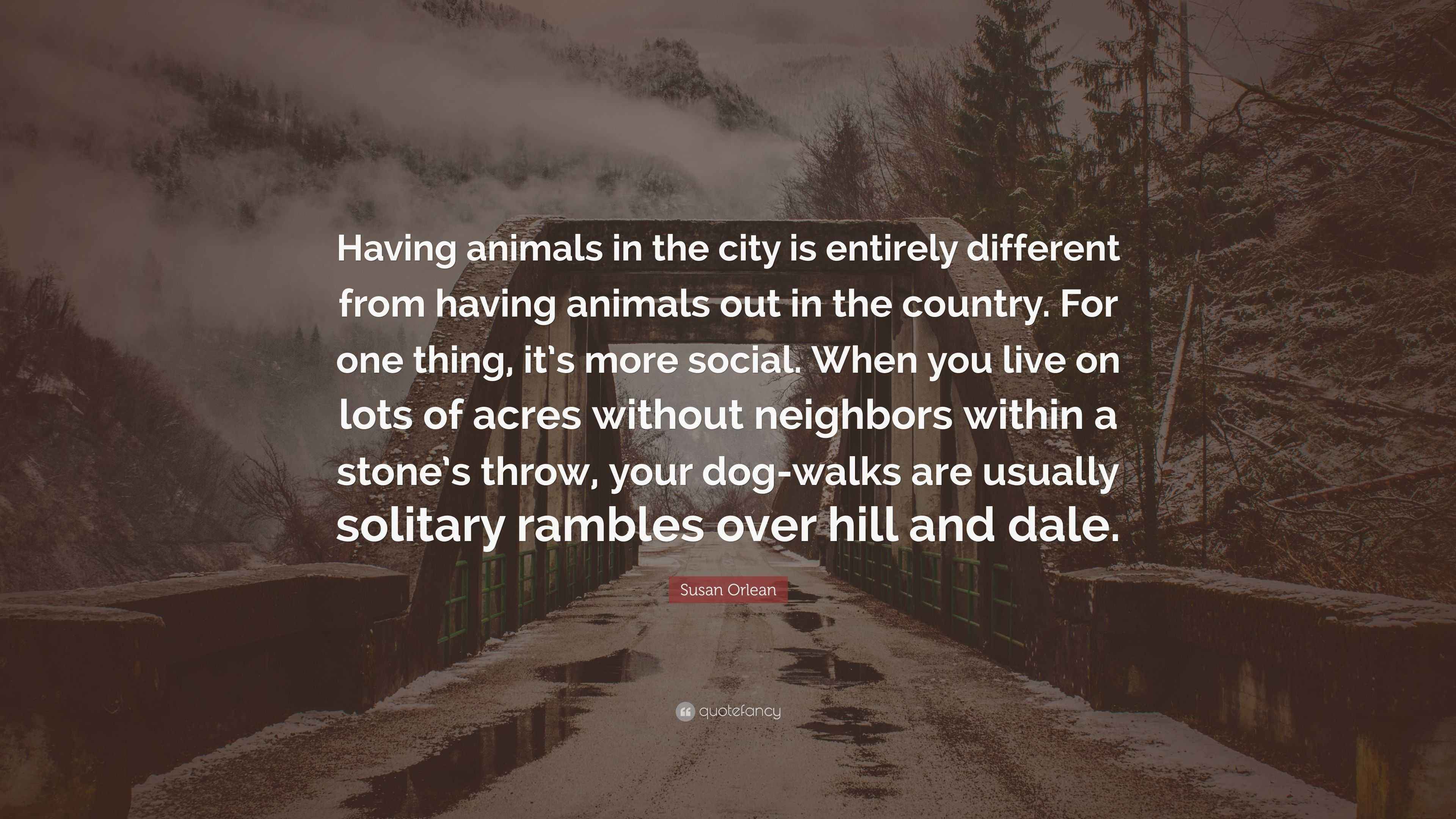 Susan Orlean Quote: “Having animals in the city is entirely different ...