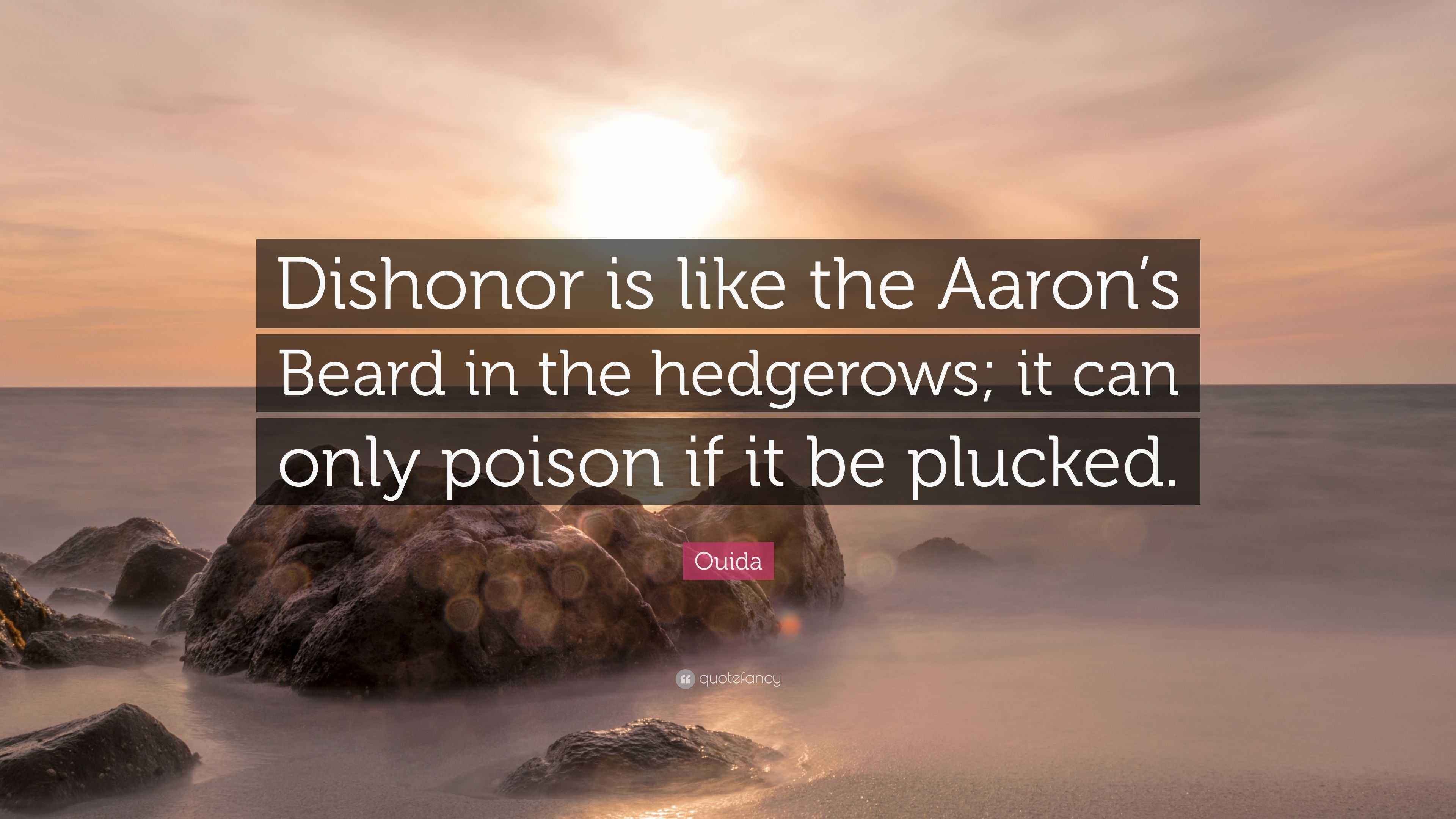 Ouida Quote: “Dishonor is like the Aaron’s Beard in the hedgerows; it ...