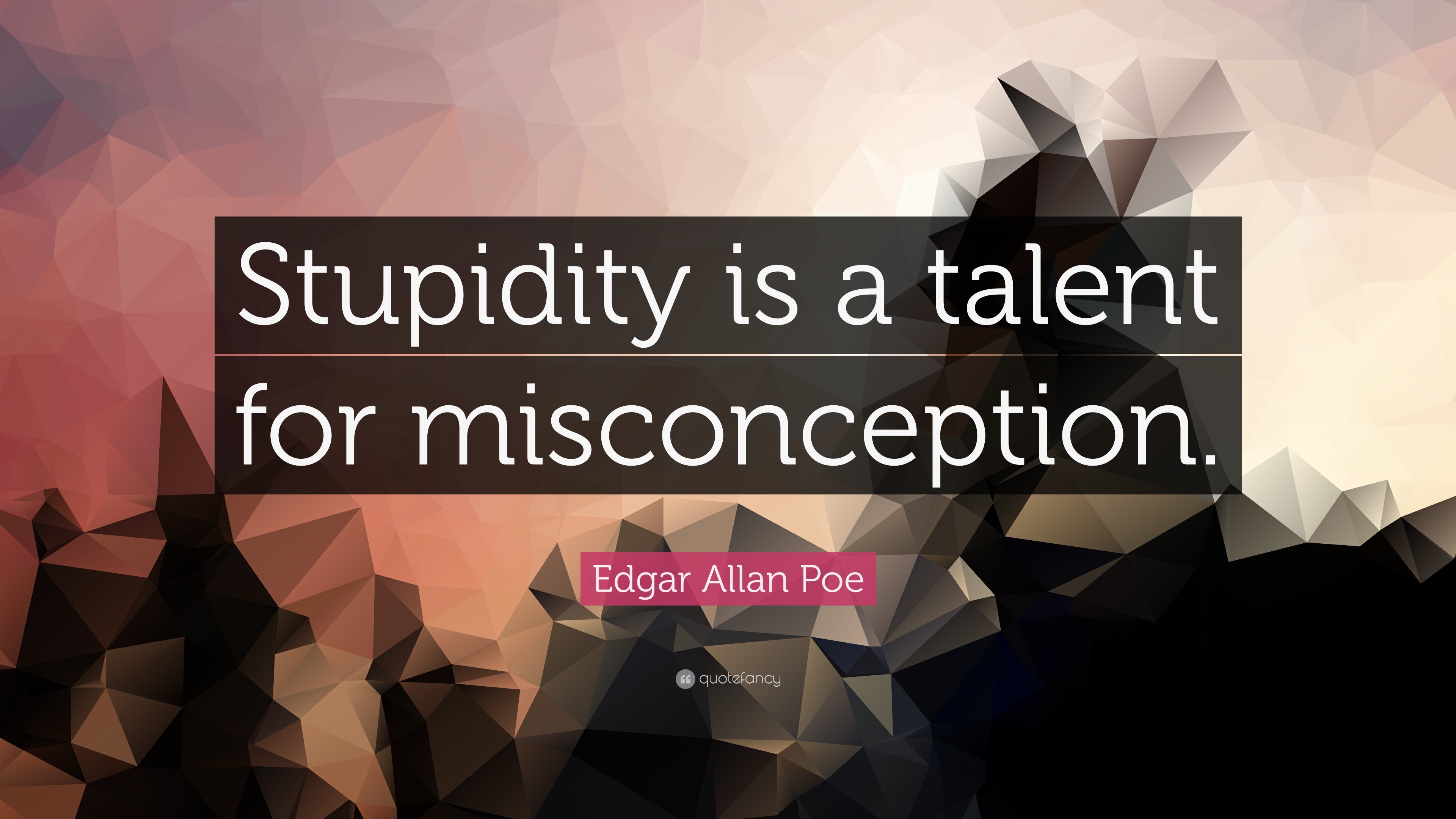 Edgar Allan Poe Quote: “Stupidity is a talent for misconception.”