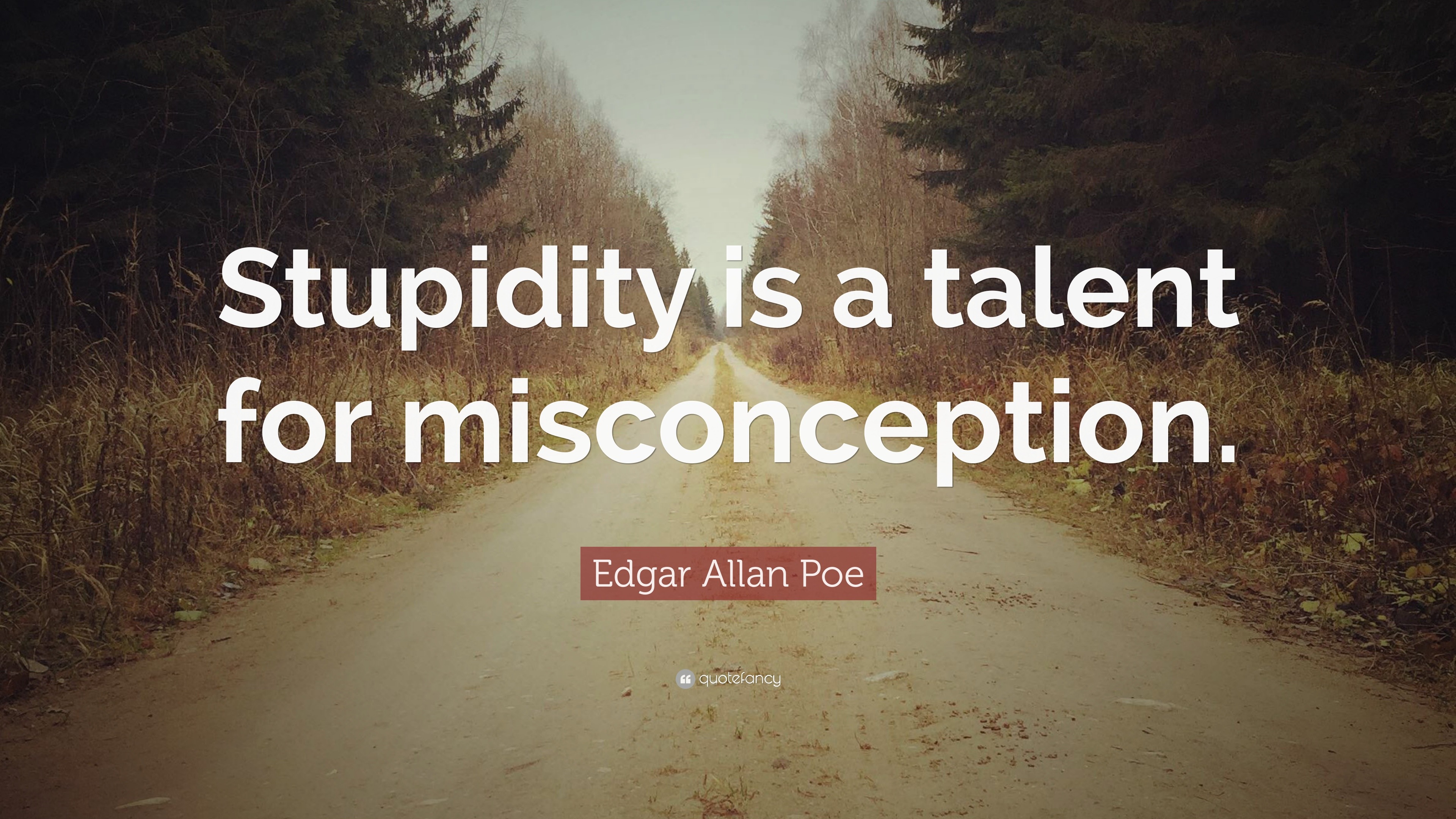 Edgar Allan Poe Quote: “Stupidity is a talent for misconception.”