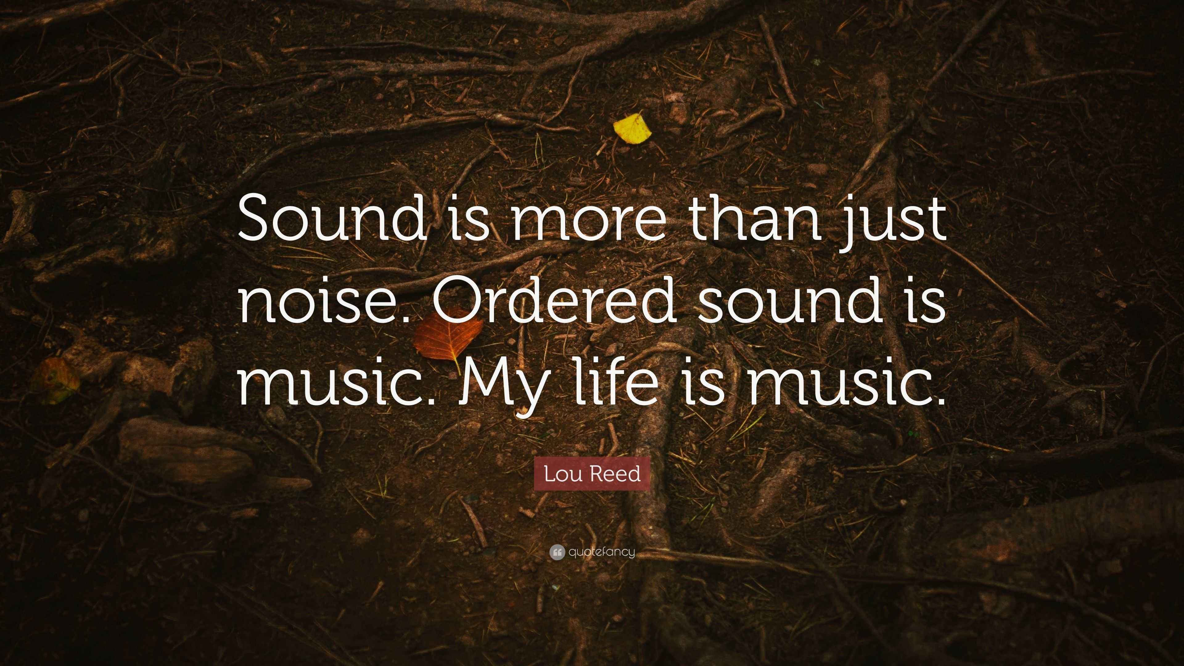 Lou Reed Quote: “Sound is more than just noise. Ordered sound is music ...