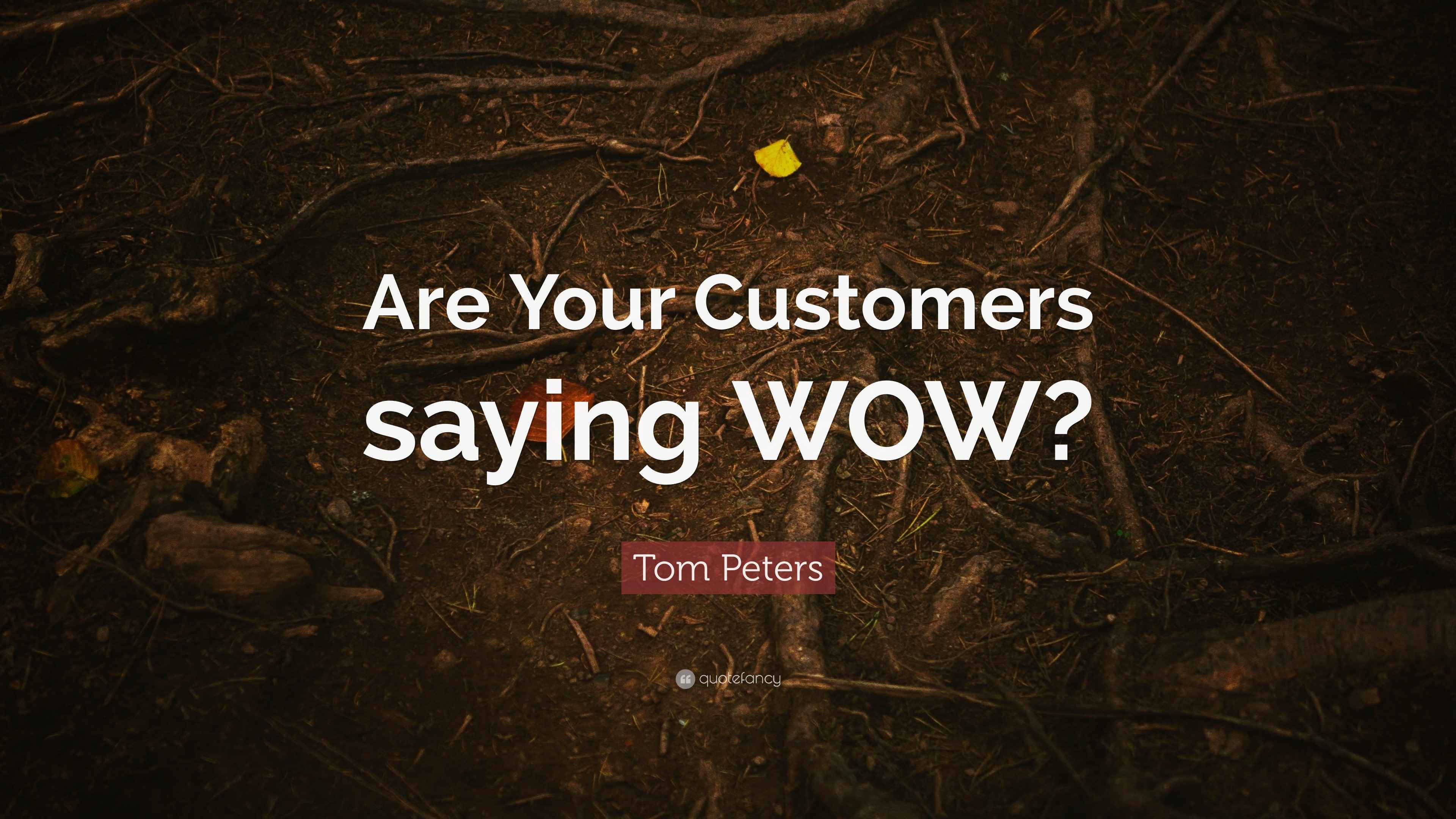 Customer Wow Quotes What Our Customers Have Been Saying. We Are So