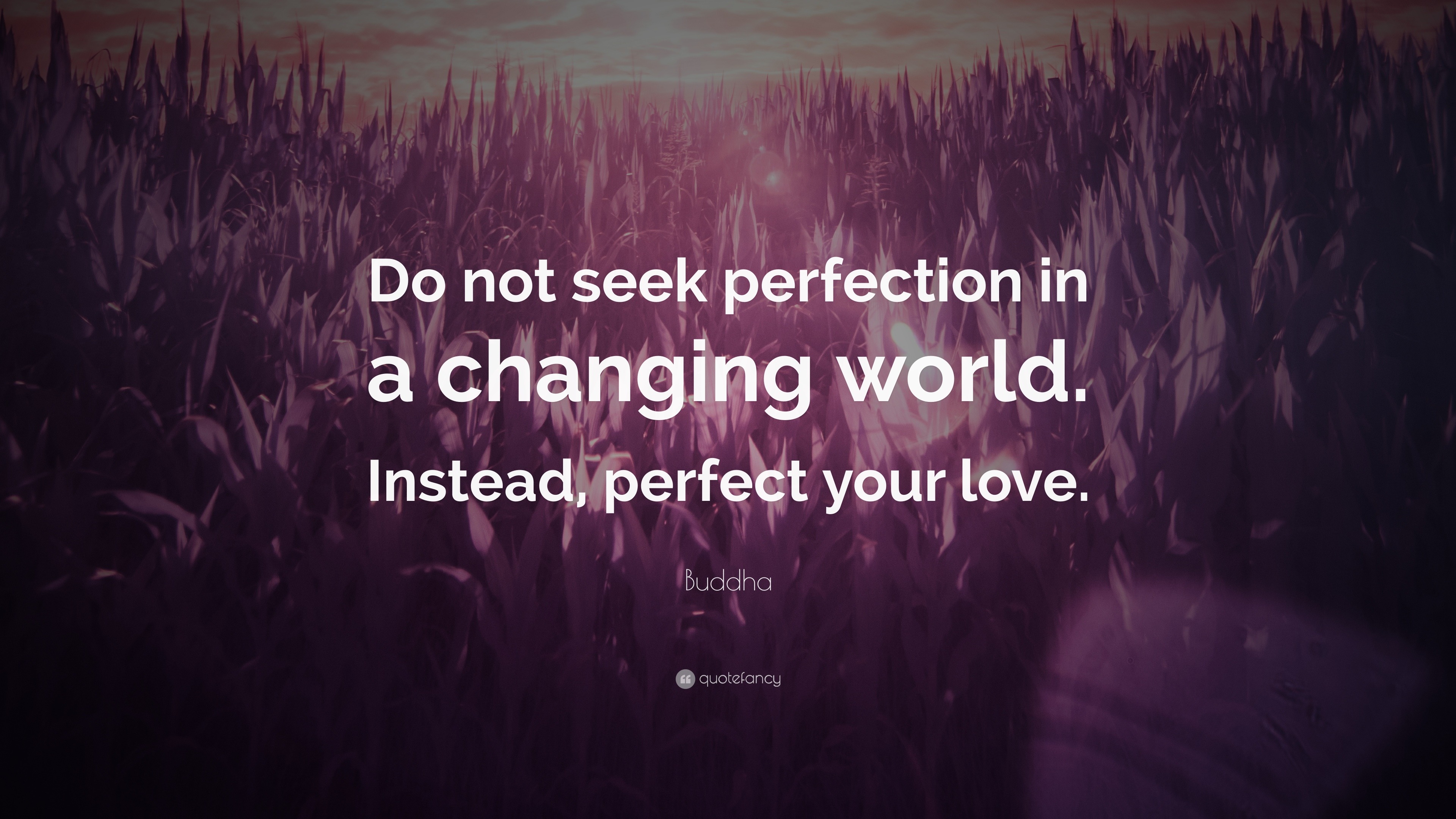 Buddha Quote: “Do not seek perfection in a changing world. Instead ...