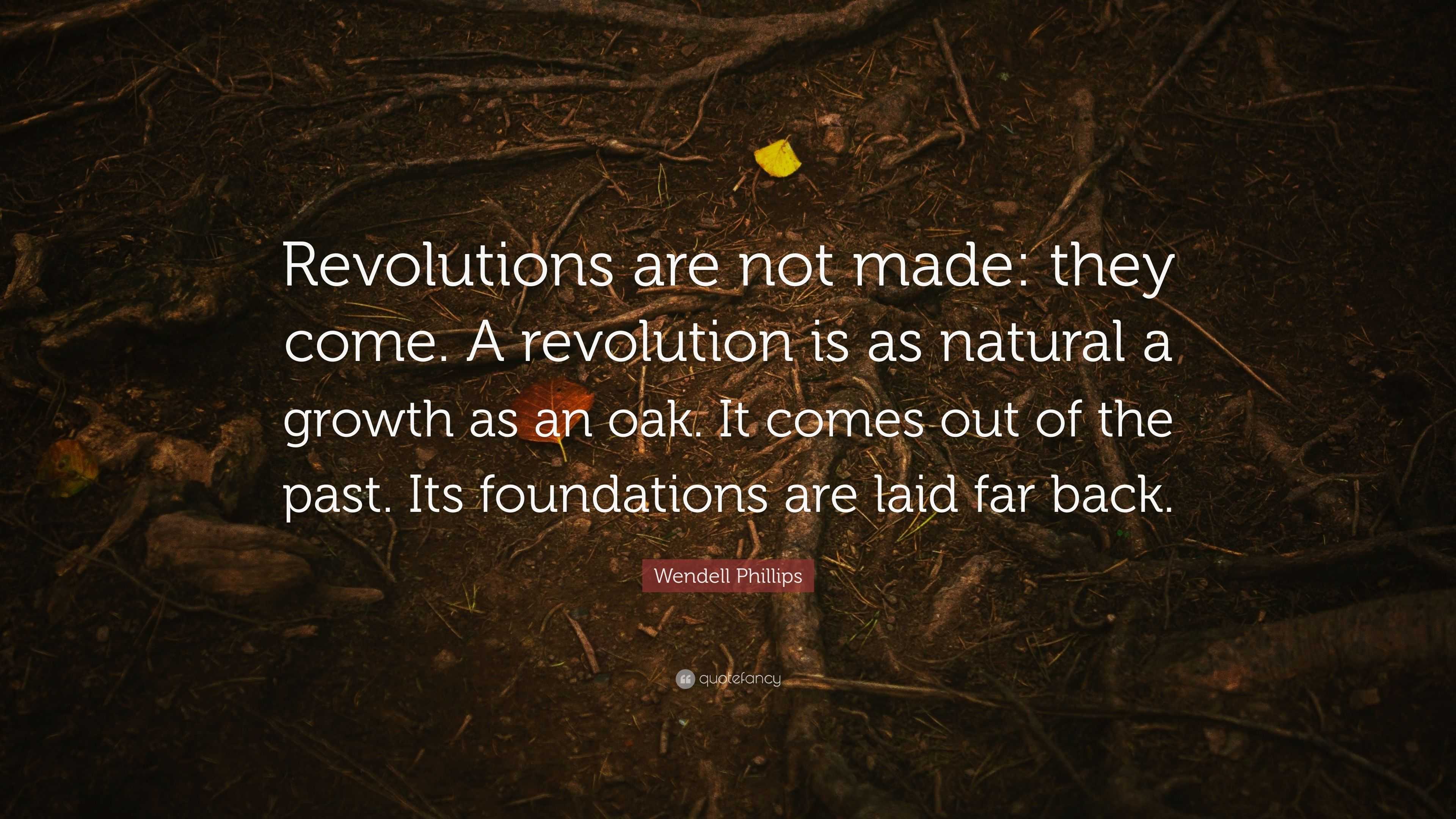 Revolution Os Quotes 30 Best The Revolution Quotes With Image | Bookey