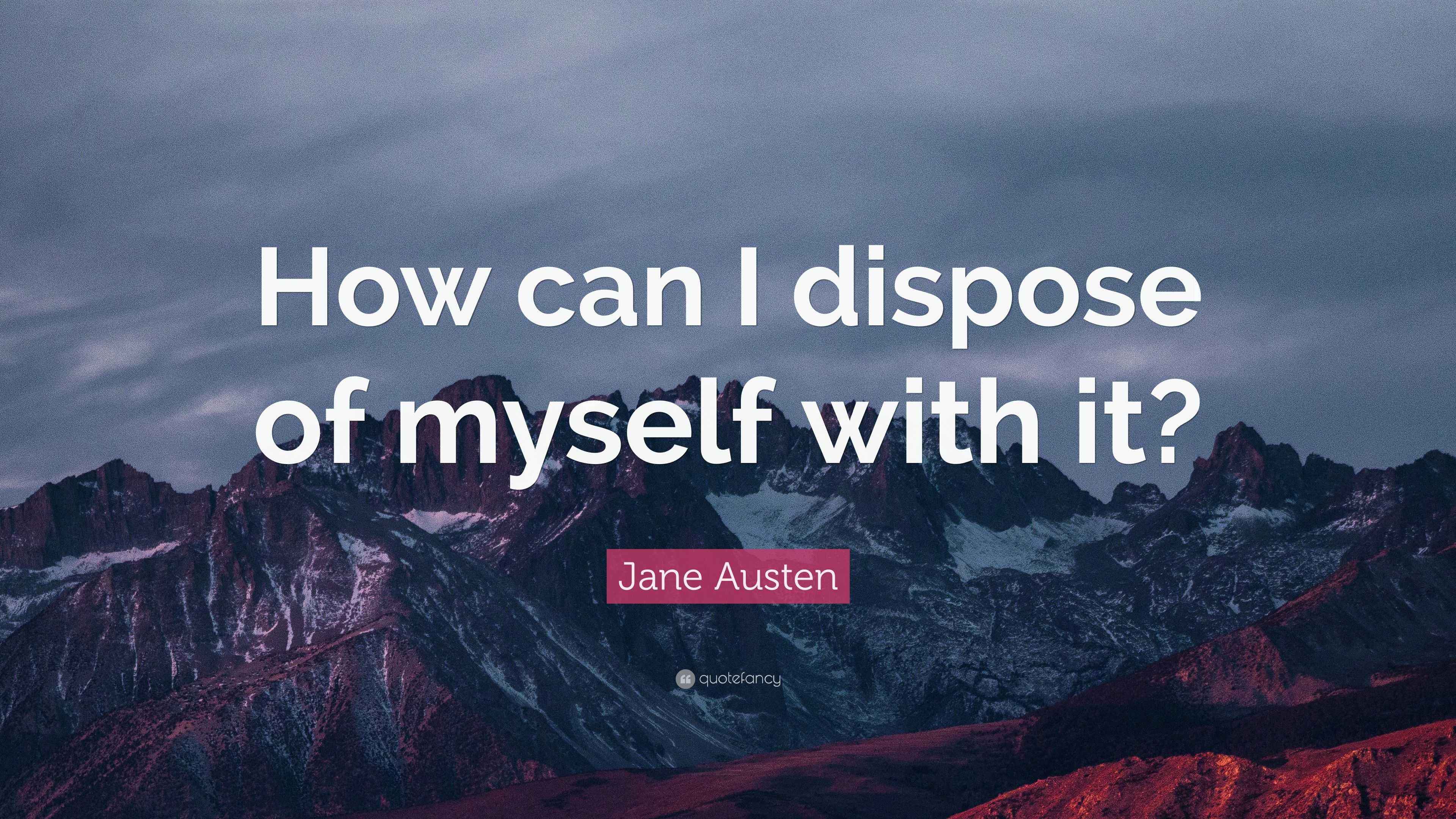 Jane Austen Quote: “How can I dispose of myself with it?”