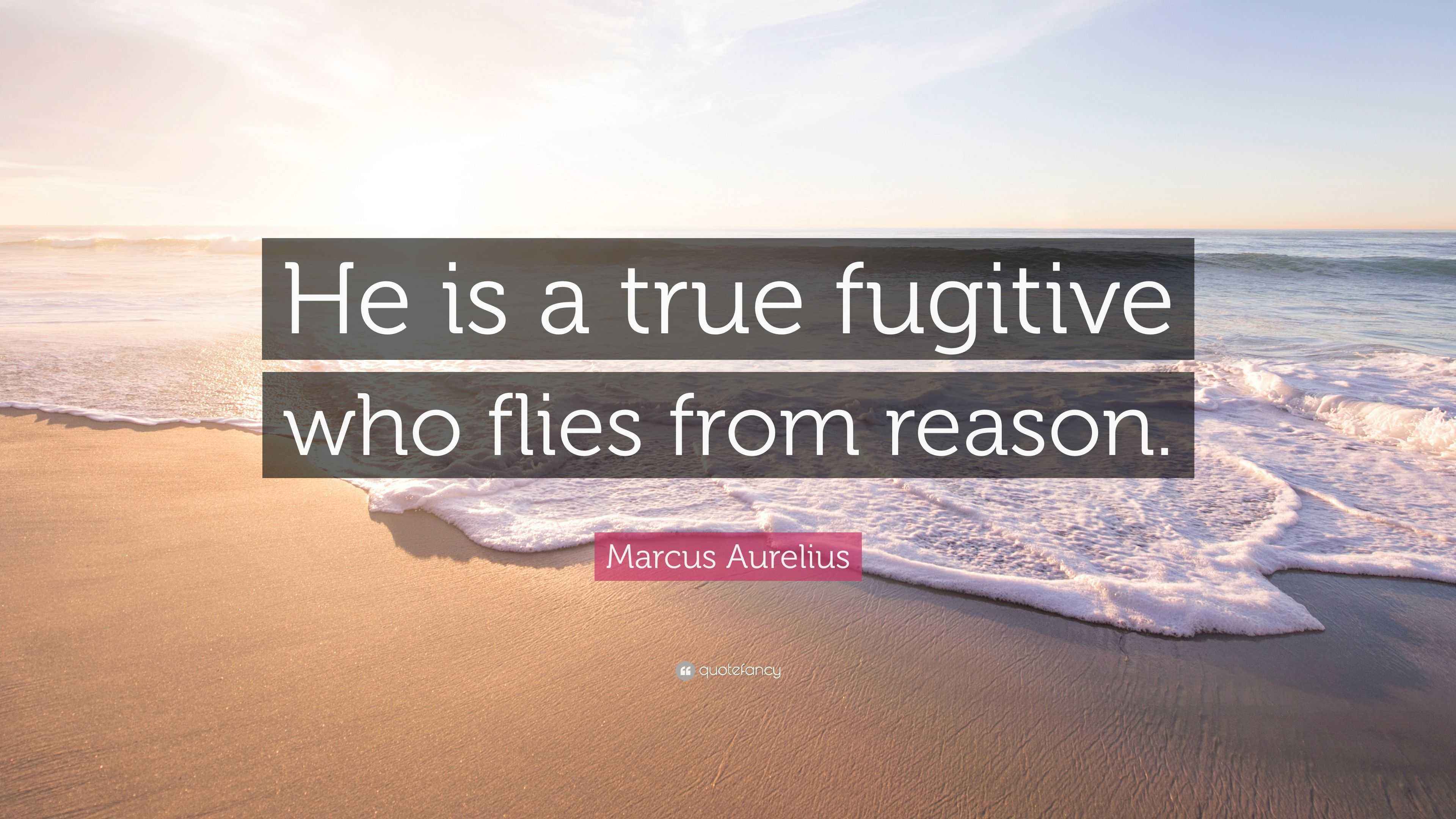 Marcus Aurelius Quote: “He is a true fugitive who flies from reason.”