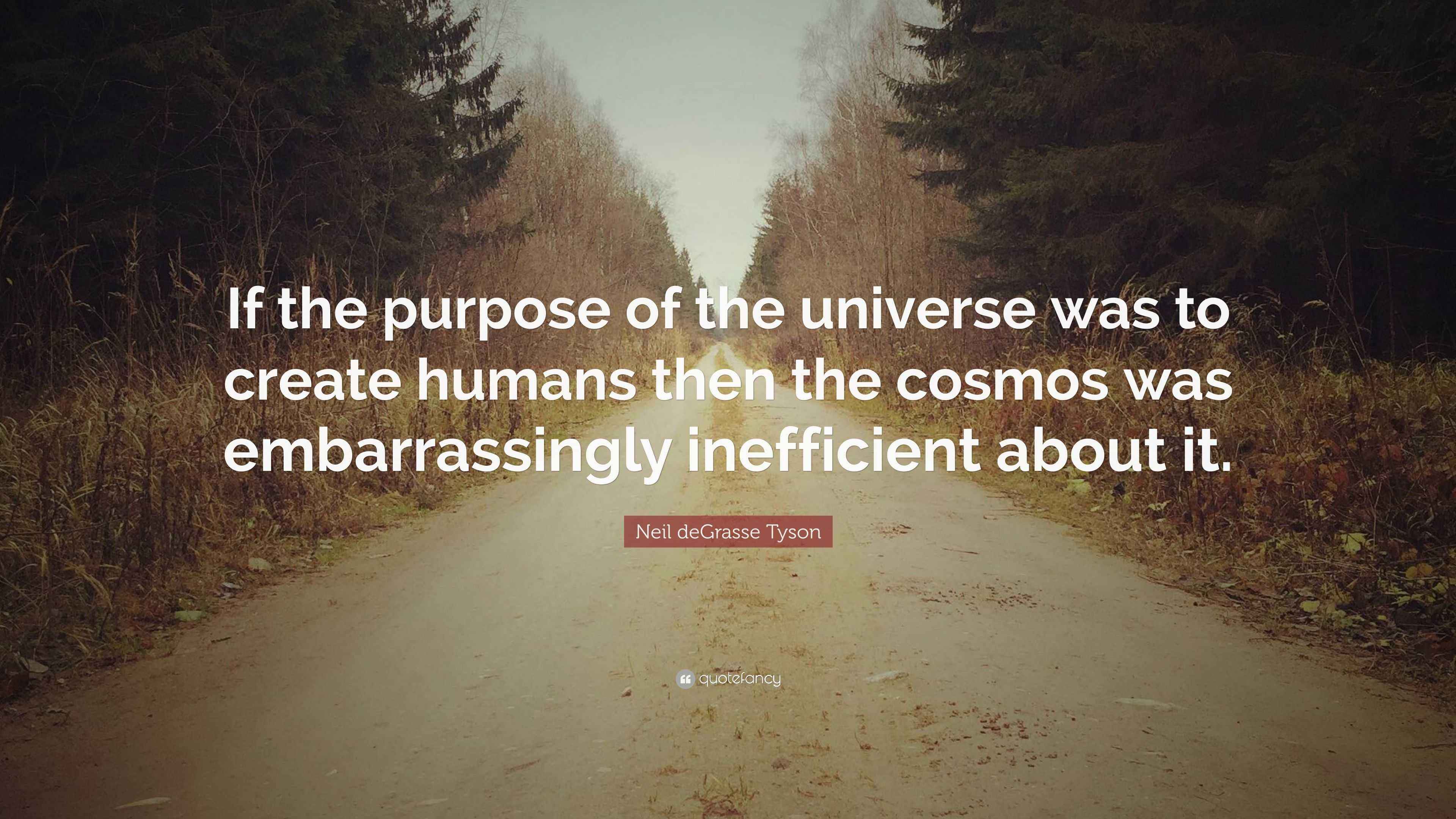 Neil Degrasse Tyson Quote If The Purpose Of The Universe Was To
