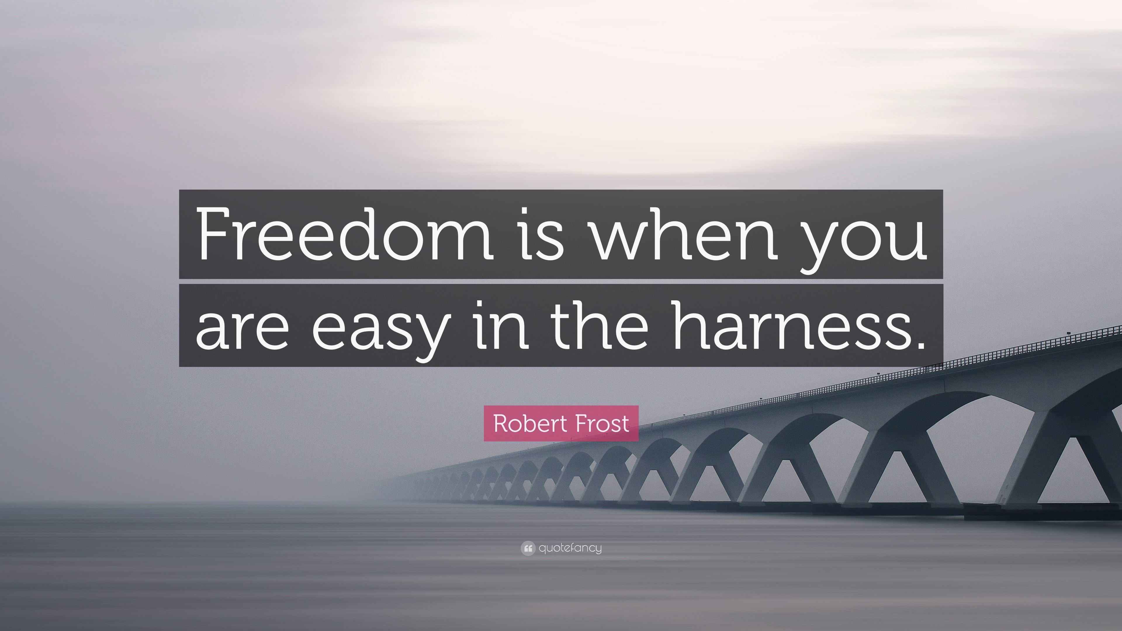 Robert Frost Quote: “Freedom is when you are easy in the harness.”