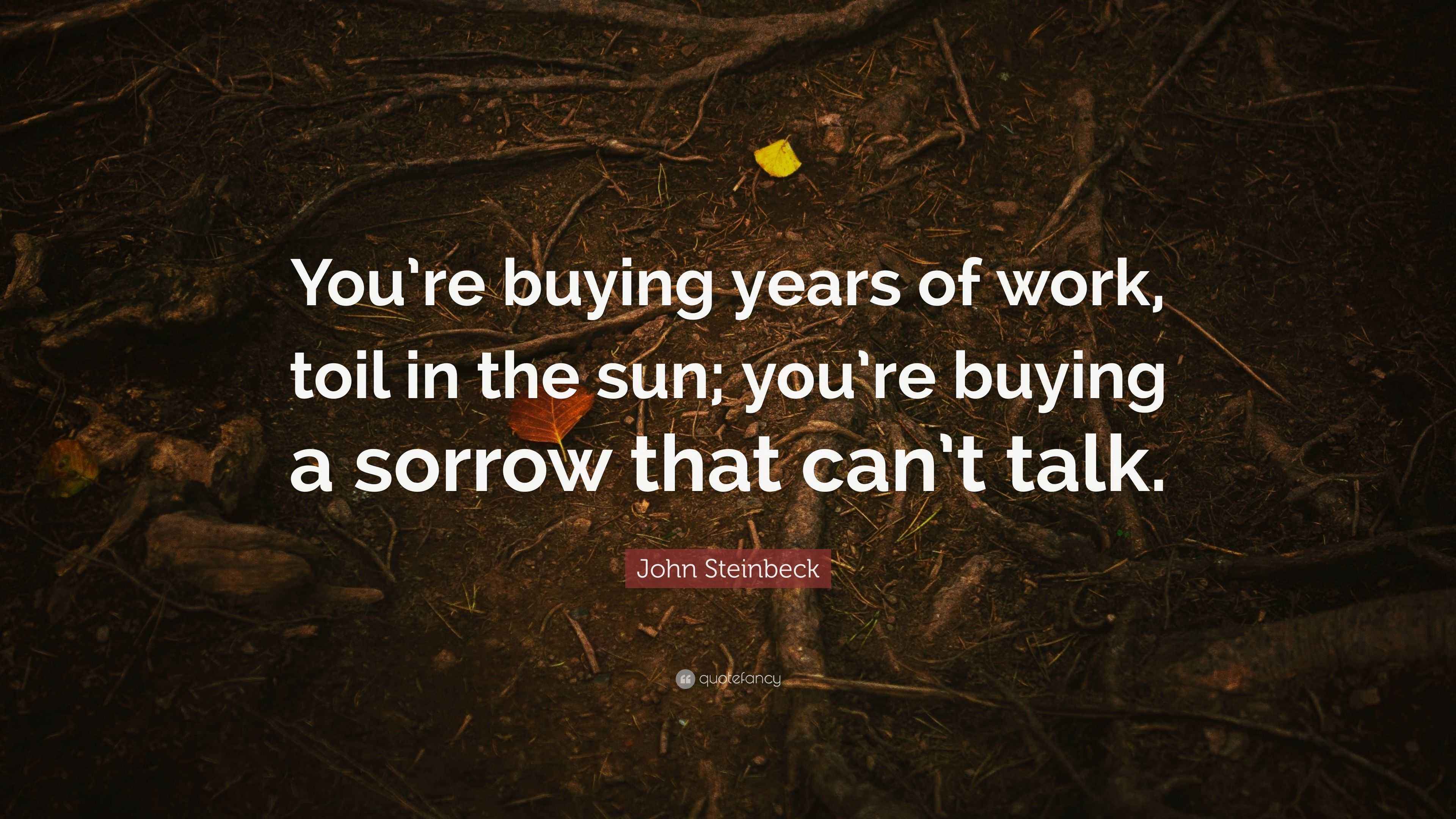 John Steinbeck Quote: “You’re buying years of work, toil in the sun ...