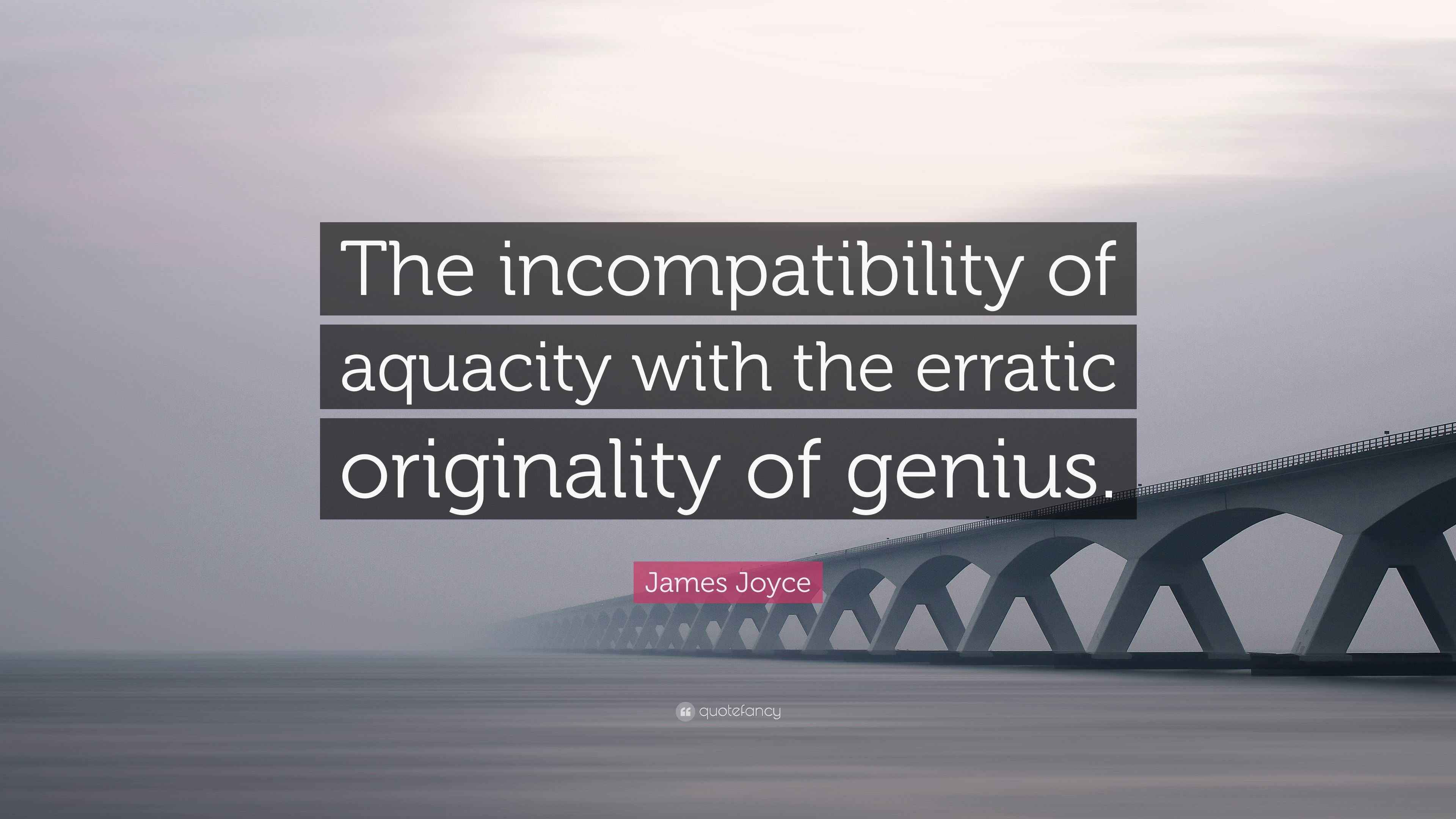 James Joyce Quote: “The incompatibility of aquacity with the erratic ...