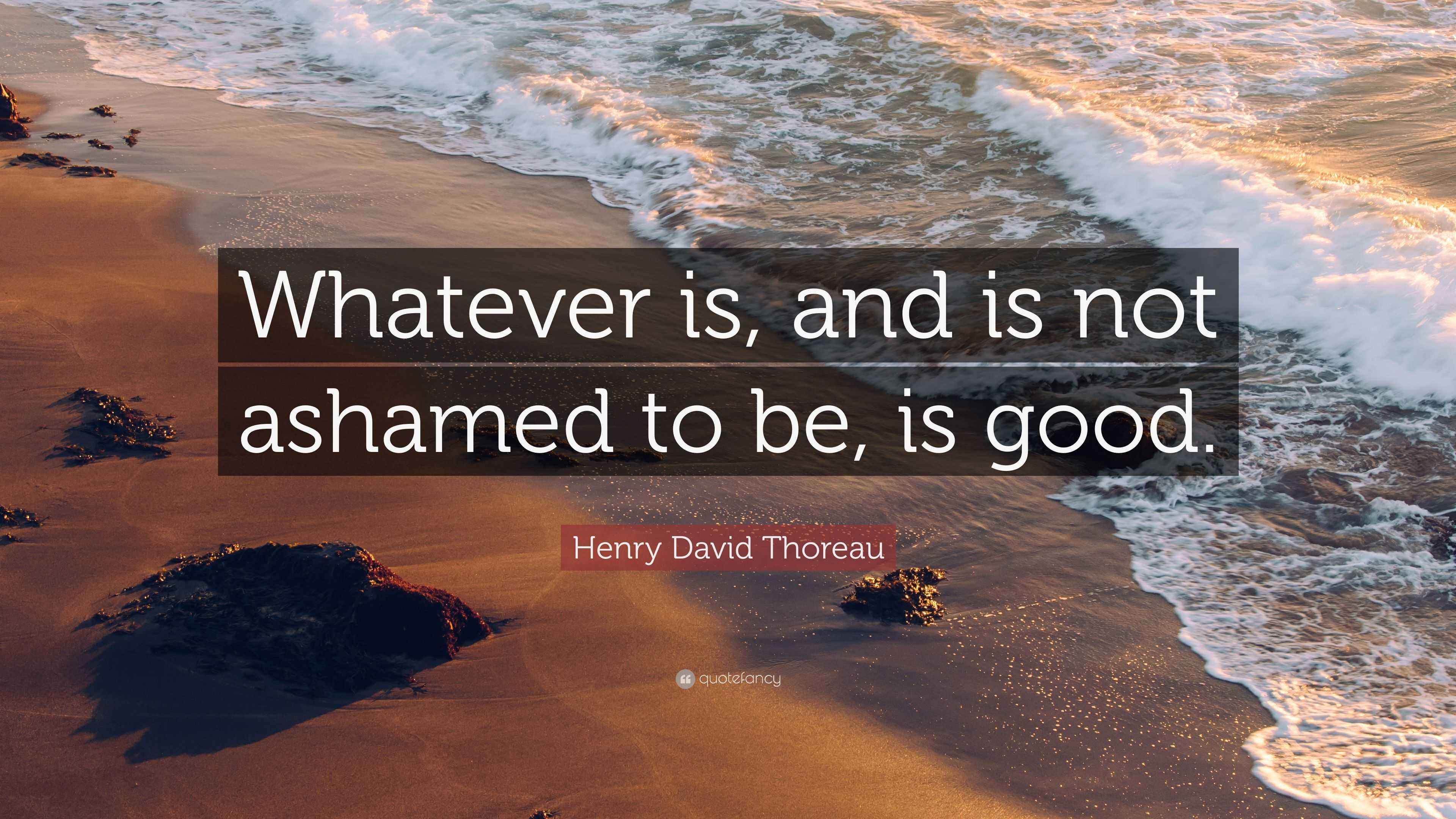 Henry David Thoreau Quote: “Whatever is, and is not ashamed to be, is ...