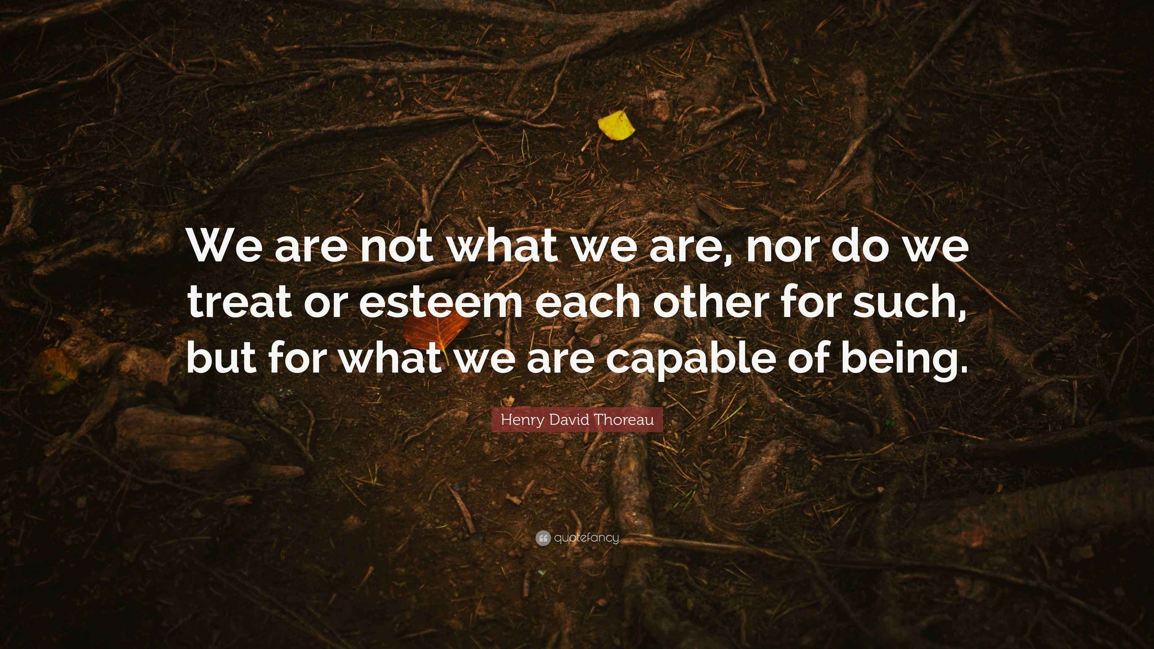 Henry David Thoreau Quote: “We are not what we are, nor do we treat or ...