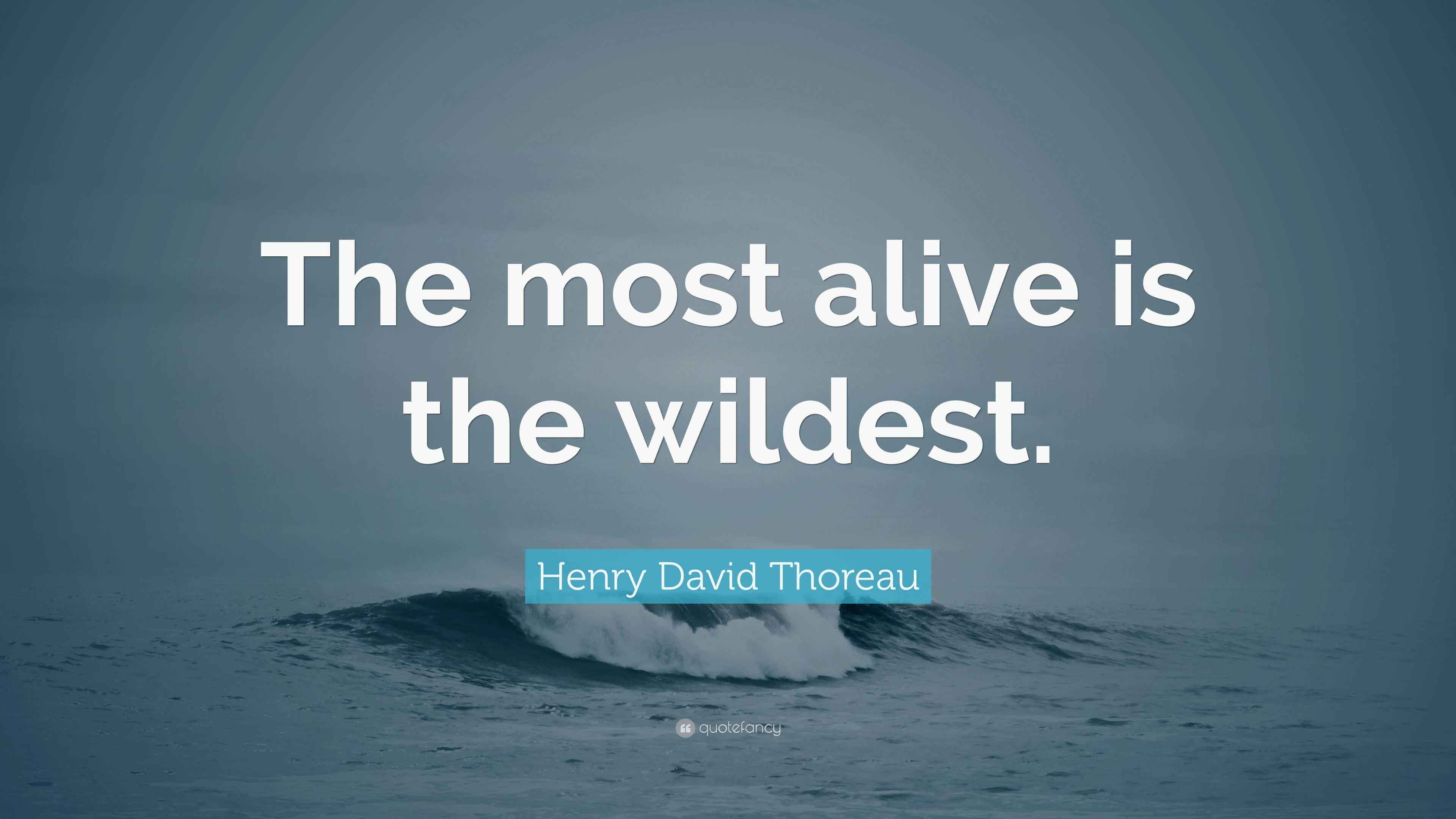 Henry David Thoreau Quote: “The most alive is the wildest.”