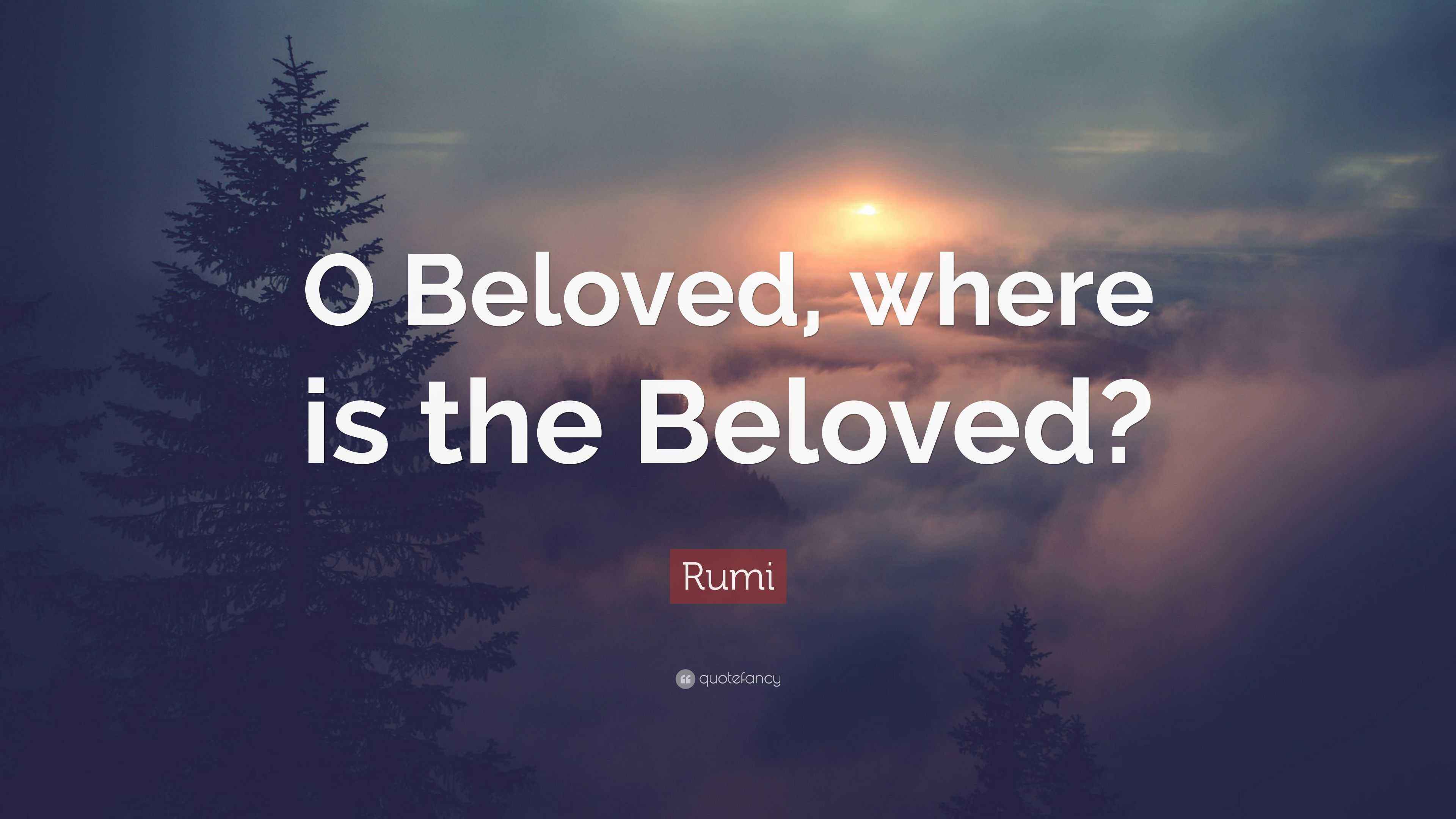 Rumi Quote: “O Beloved, where is the Beloved?”