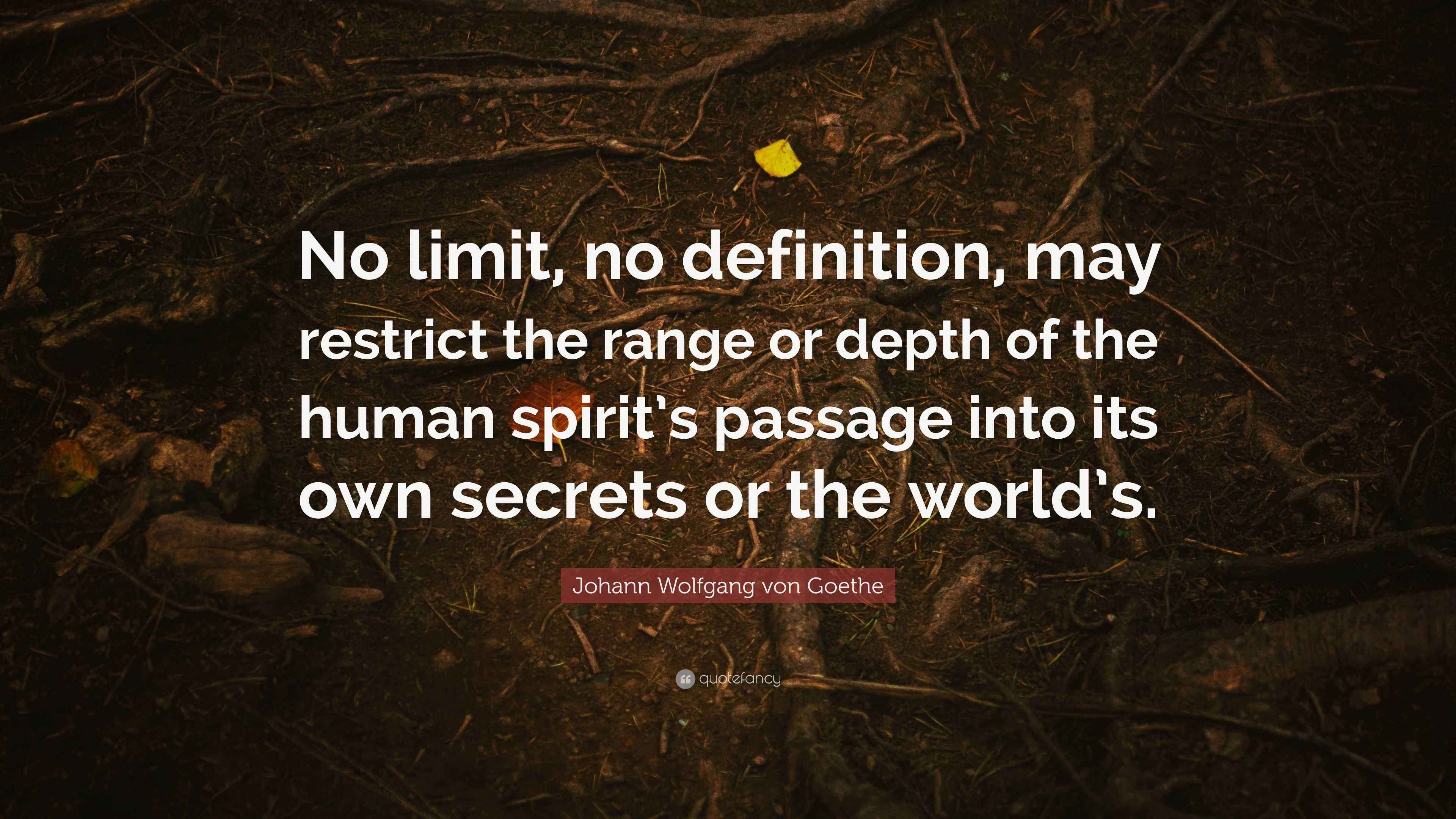 Johann Wolfgang von Goethe Quote: “No limit, no definition, may ...