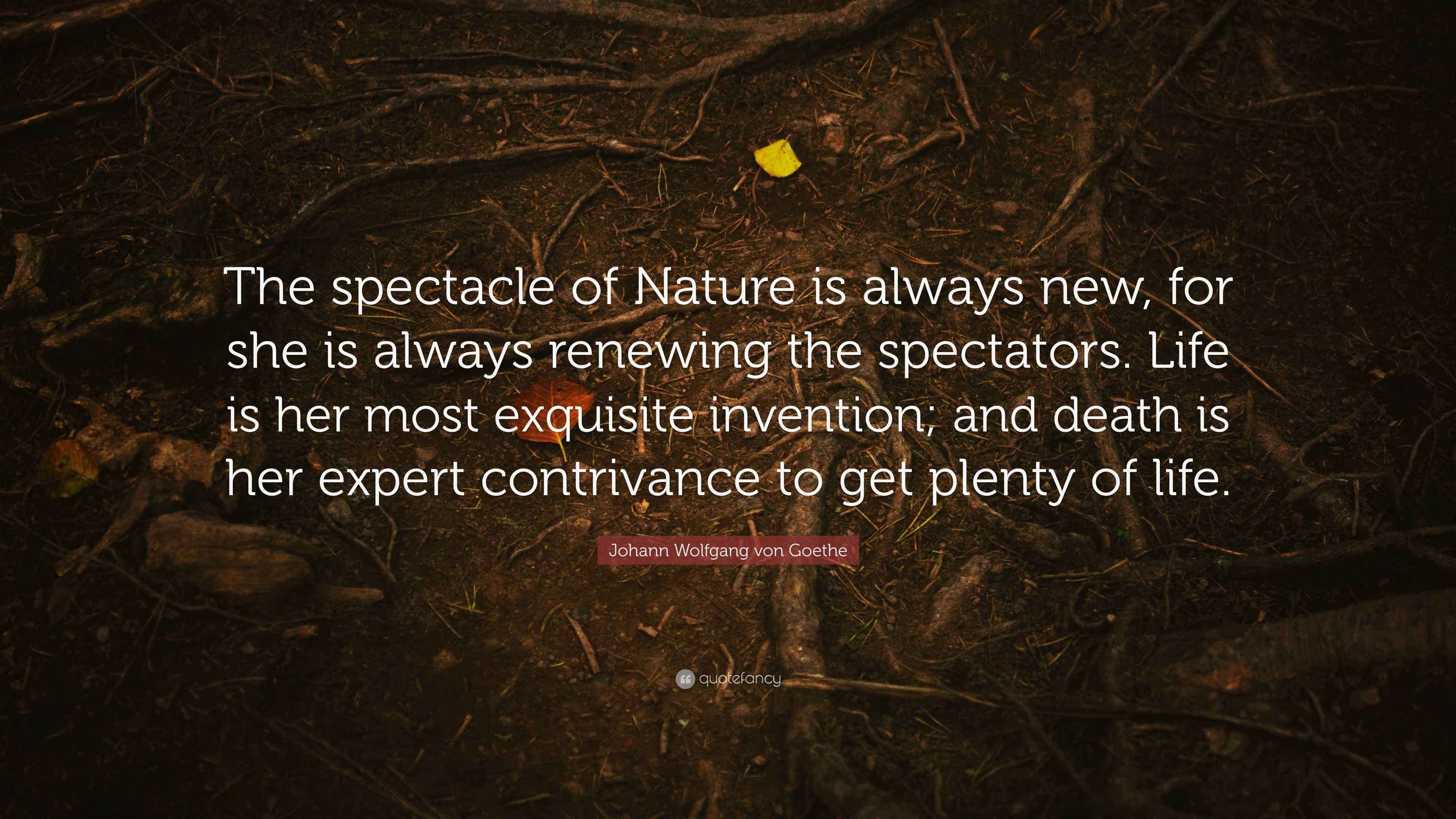 Johann Wolfgang von Goethe Quote: “The spectacle of Nature is always ...
