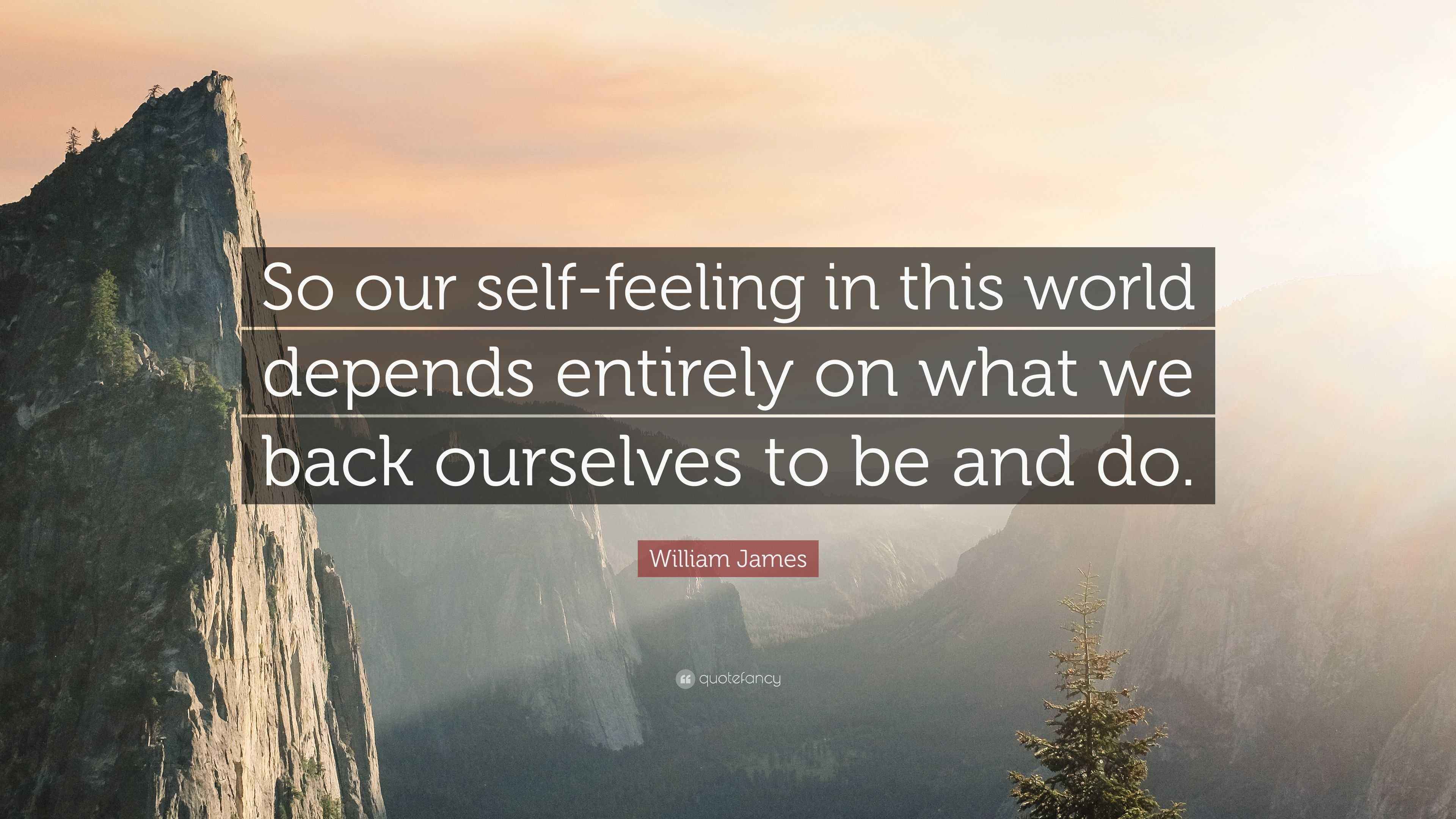 William James Quote: “So our self-feeling in this world depends ...
