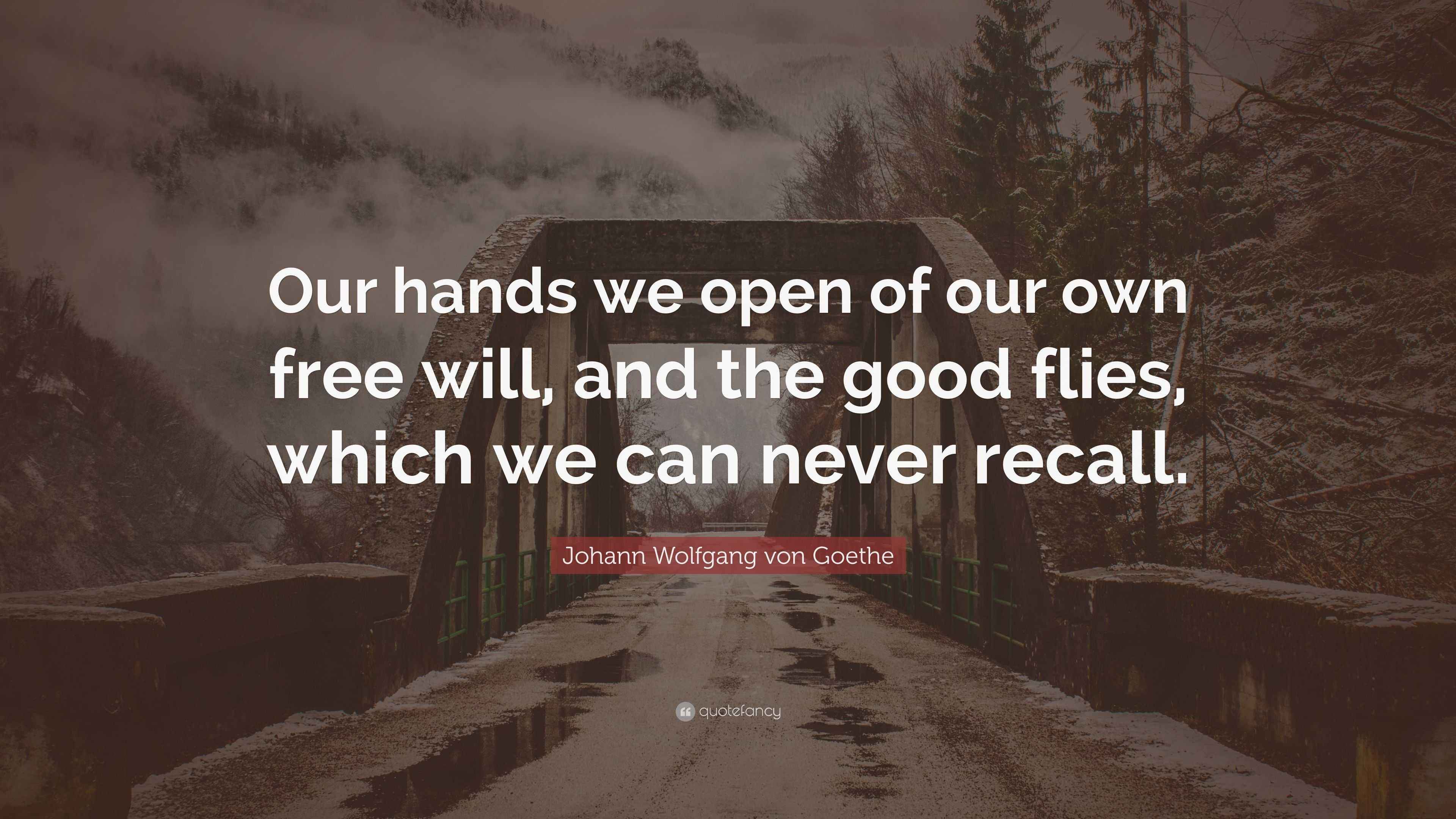 Johann Wolfgang von Goethe Quote: “Our hands we open of our own free ...