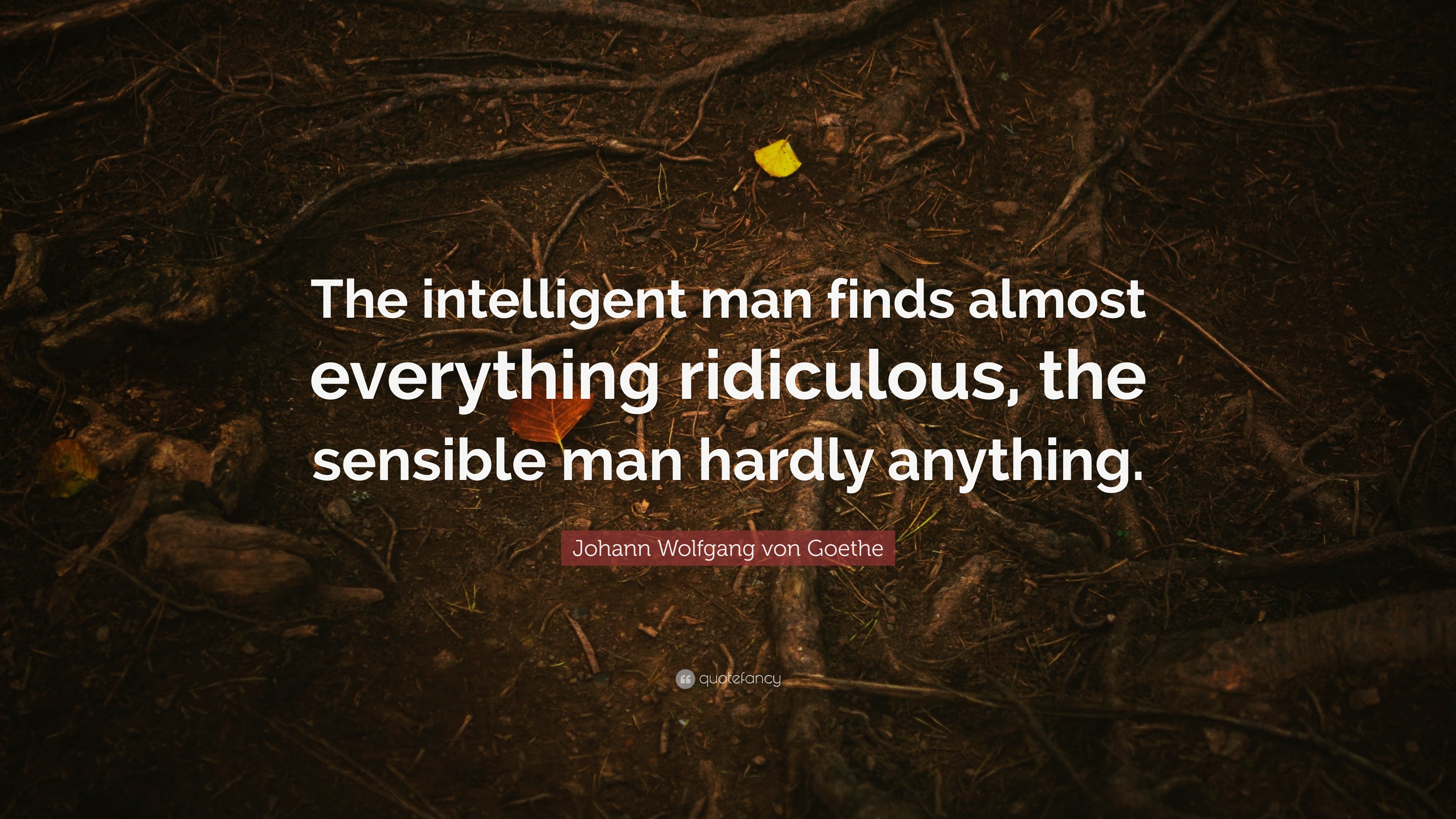 Johann Wolfgang von Goethe Quote: “The intelligent man finds almost ...