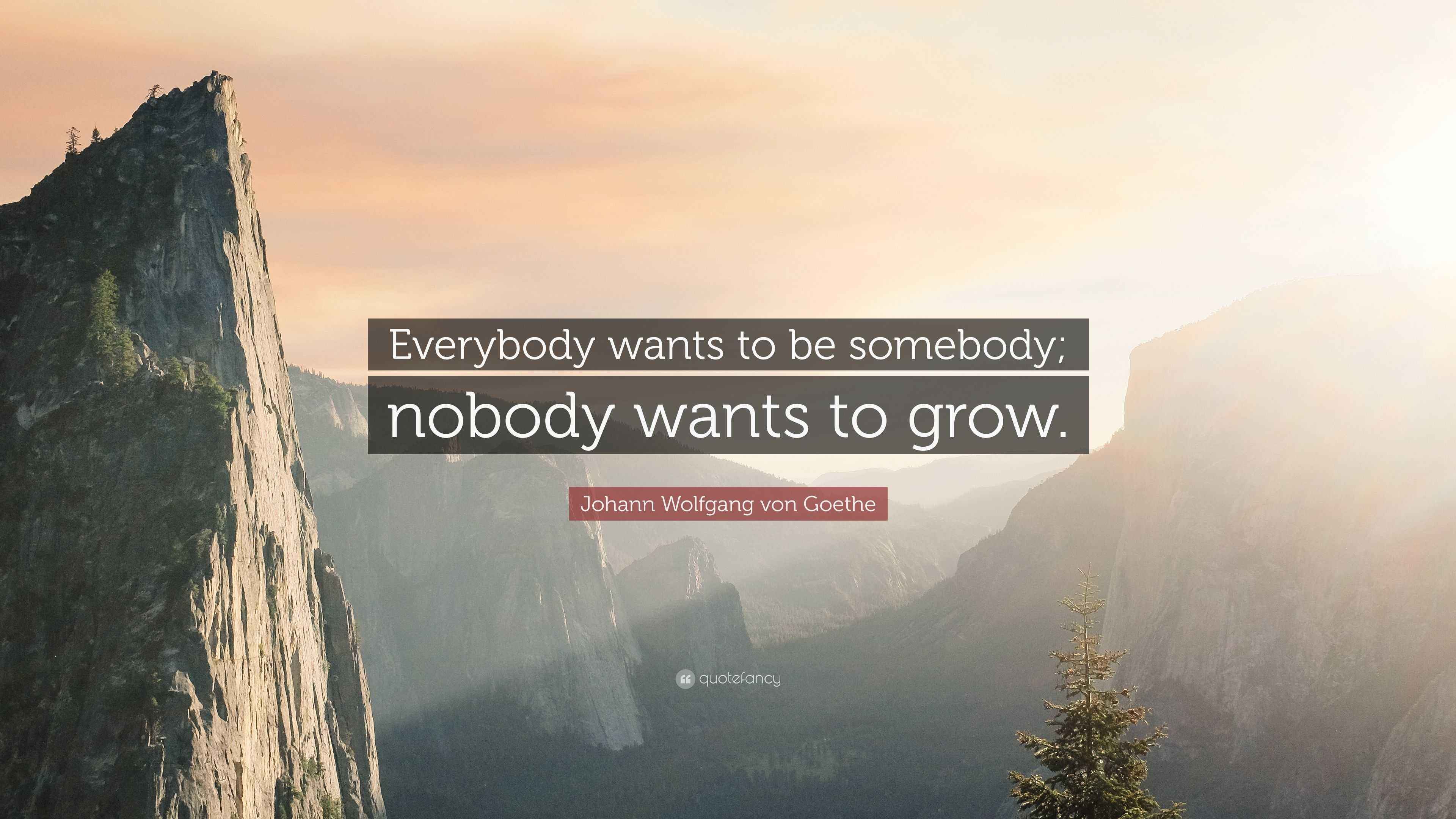 Johann Wolfgang von Goethe Quote: “Everybody wants to be somebody ...