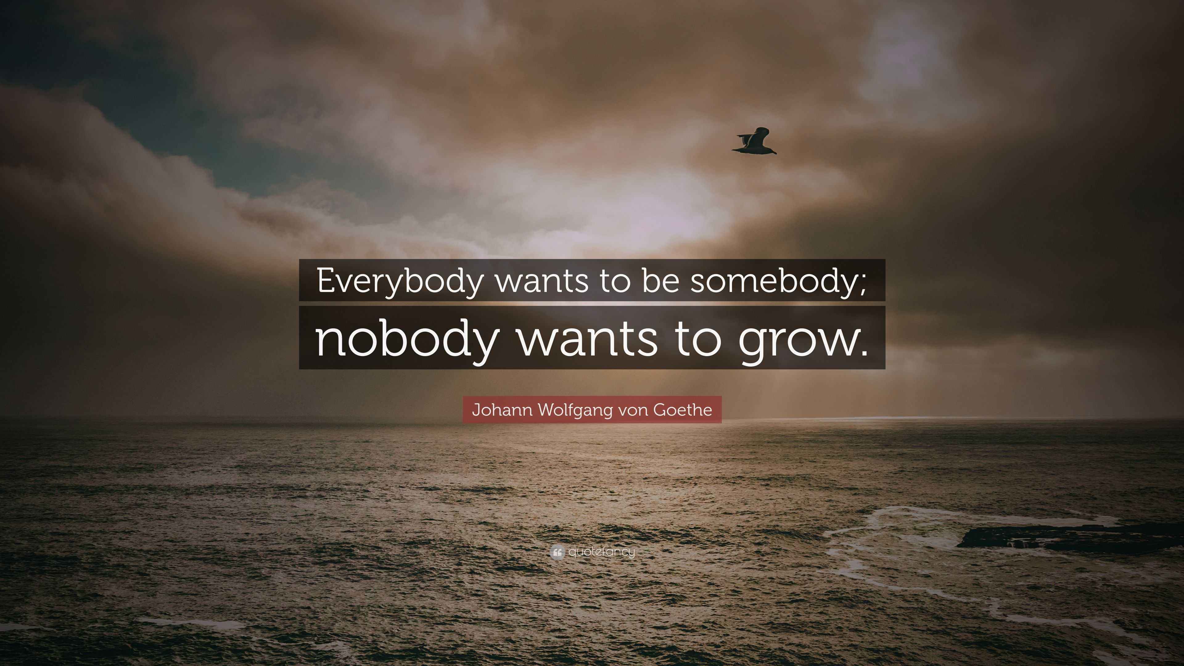 Johann Wolfgang von Goethe Quote: “Everybody wants to be somebody ...