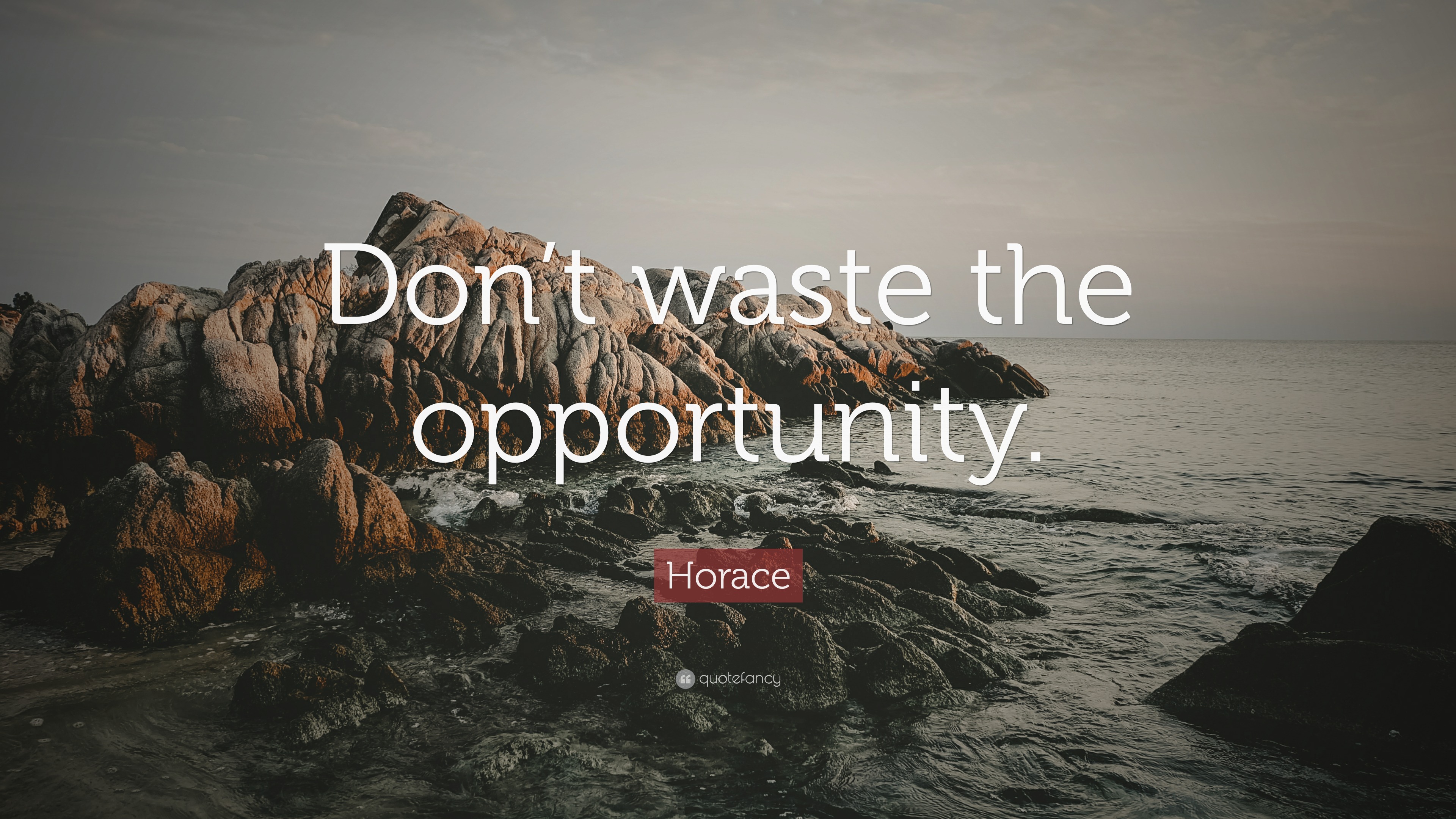 Horace Quote: “Don’t waste the opportunity.”