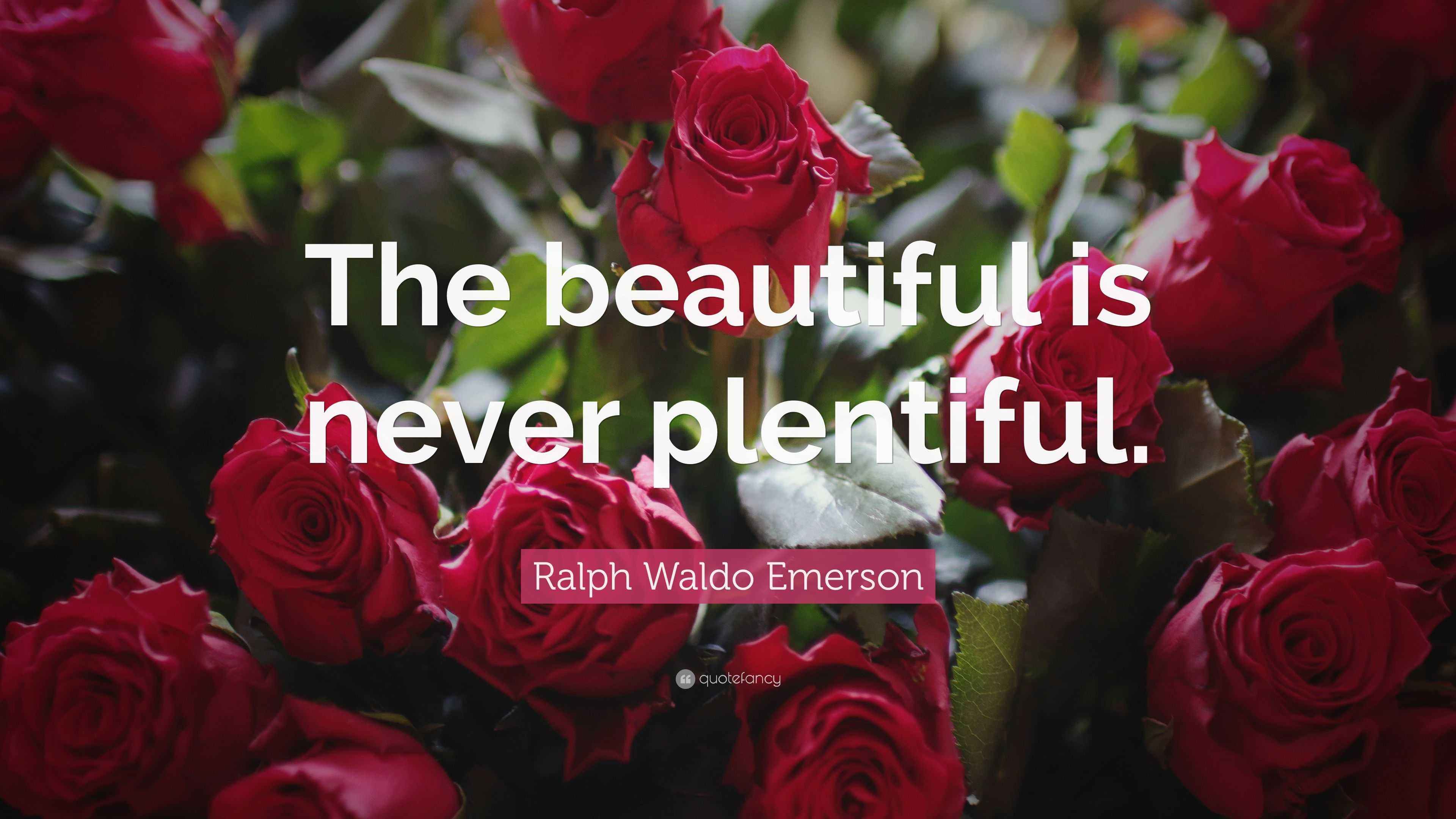 Ralph Waldo Emerson Quote: “The beautiful is never plentiful.”