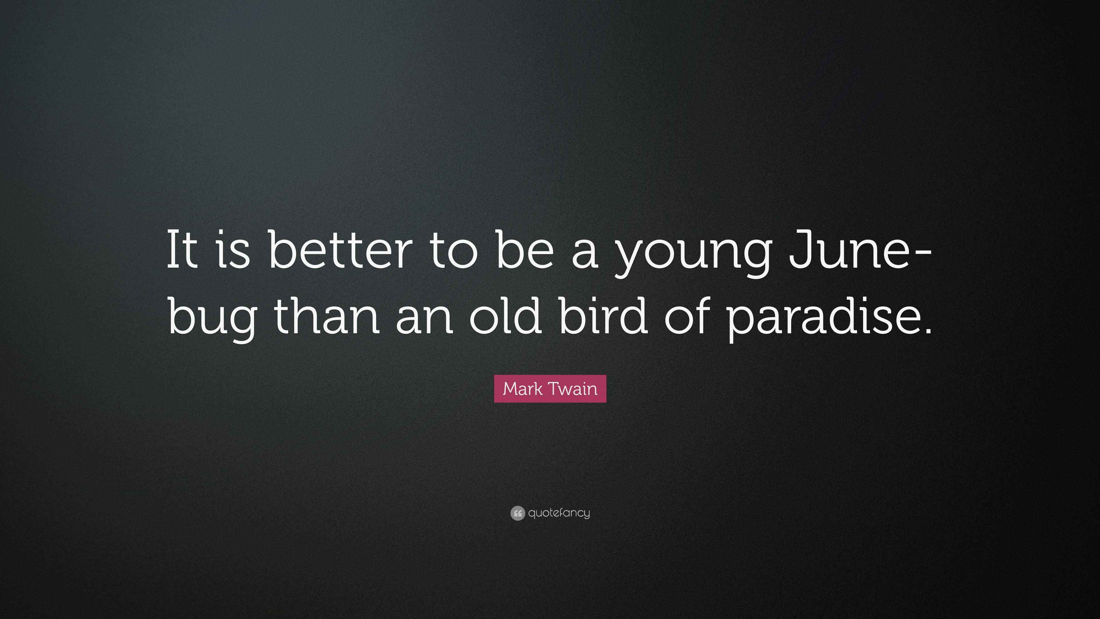 Mark Twain Quote: “It is better to be a young June-bug than an old bird ...