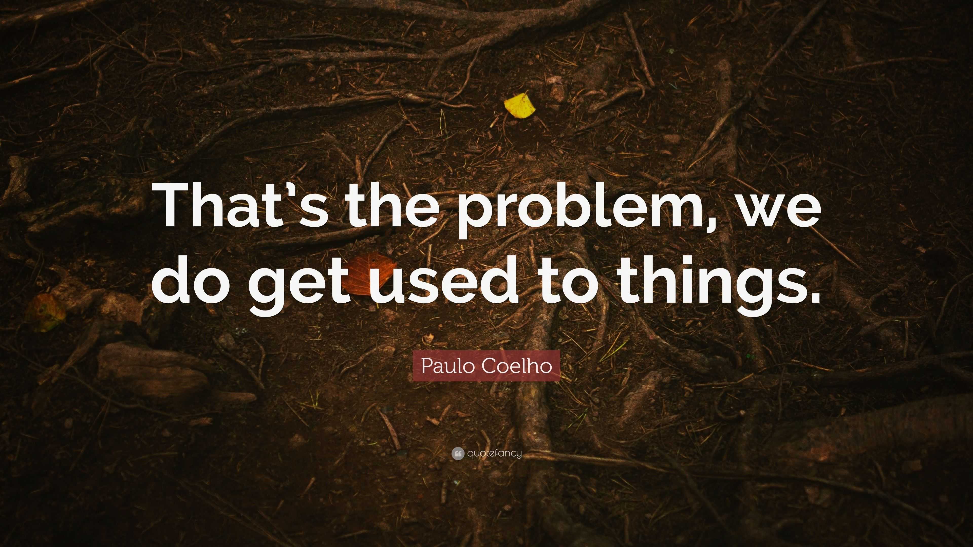 Paulo Coelho Quote: “That’s the problem, we do get used to things.”