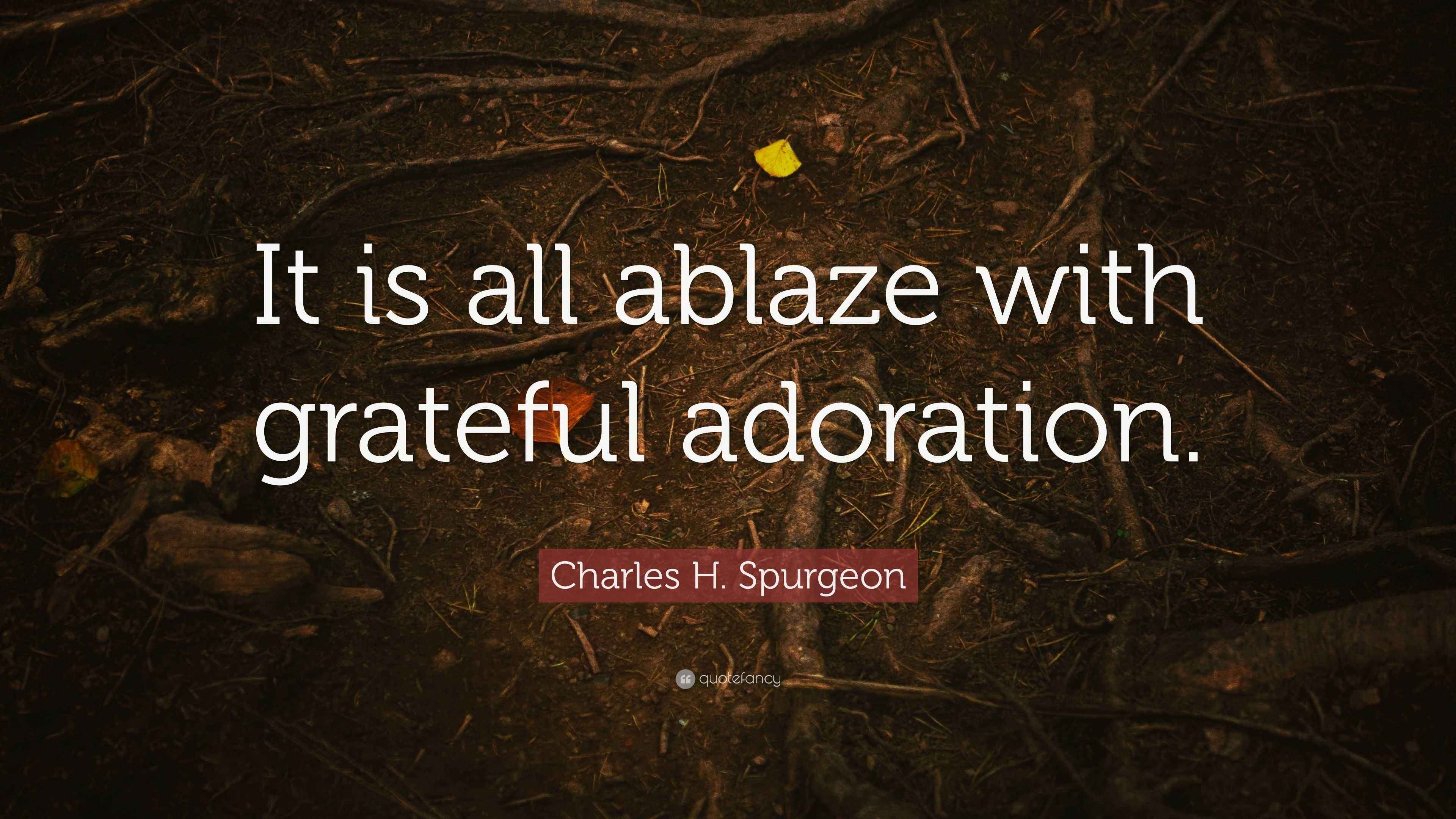 Charles H. Spurgeon Quote: “It is all ablaze with grateful adoration.”