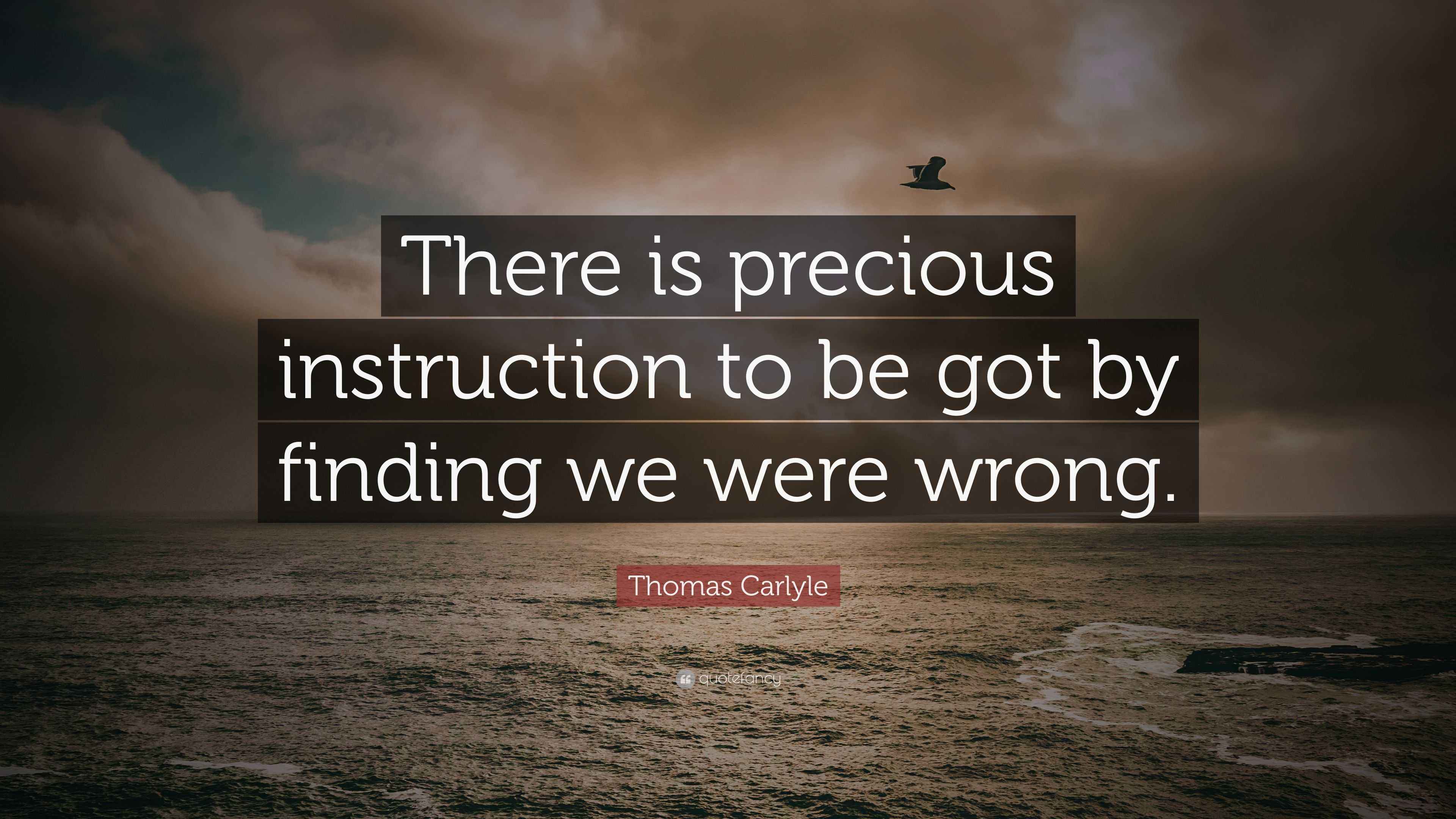 Thomas Carlyle Quote: “There is precious instruction to be got by ...