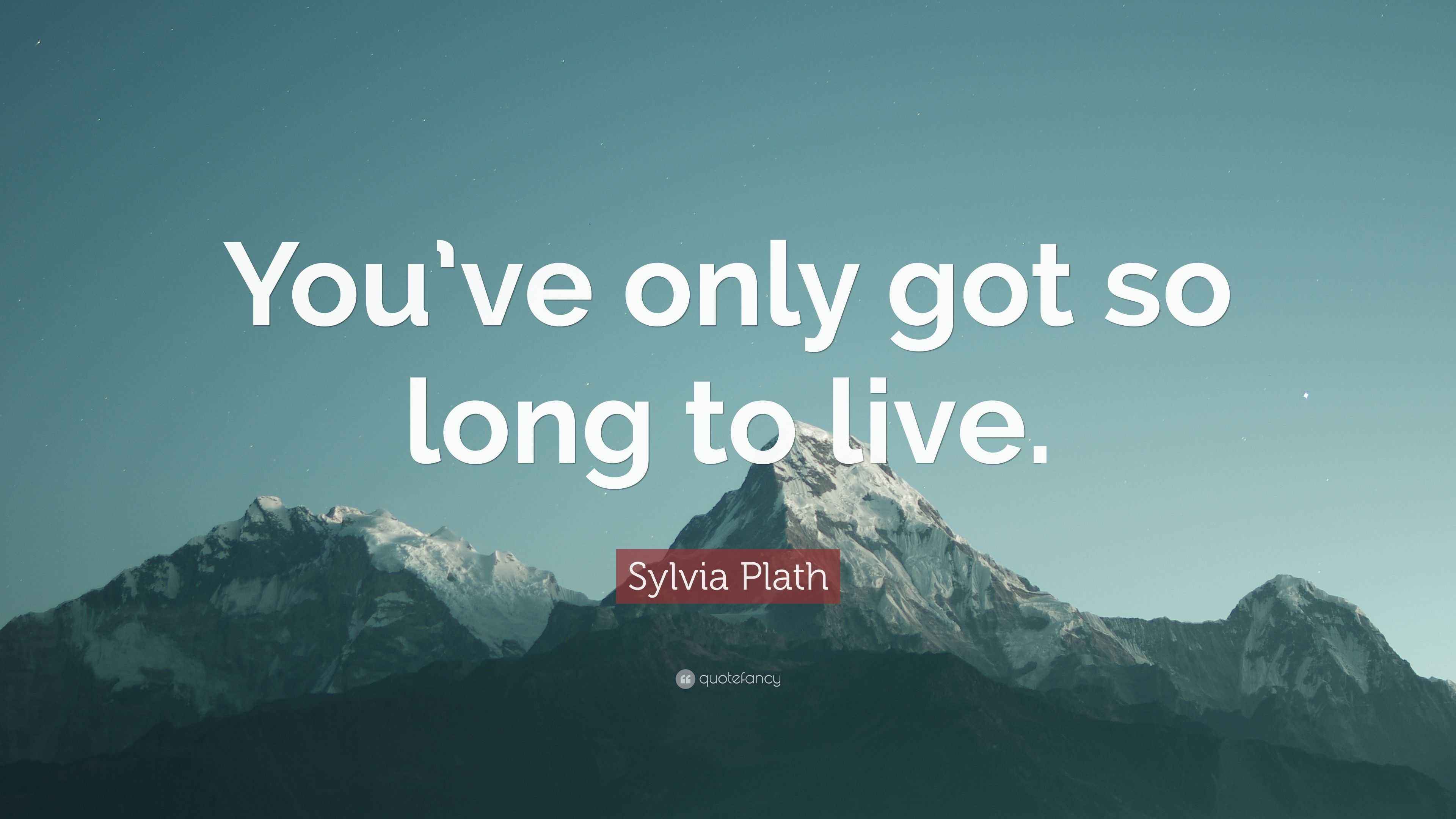 Sylvia Plath Quote: “You’ve only got so long to live.”