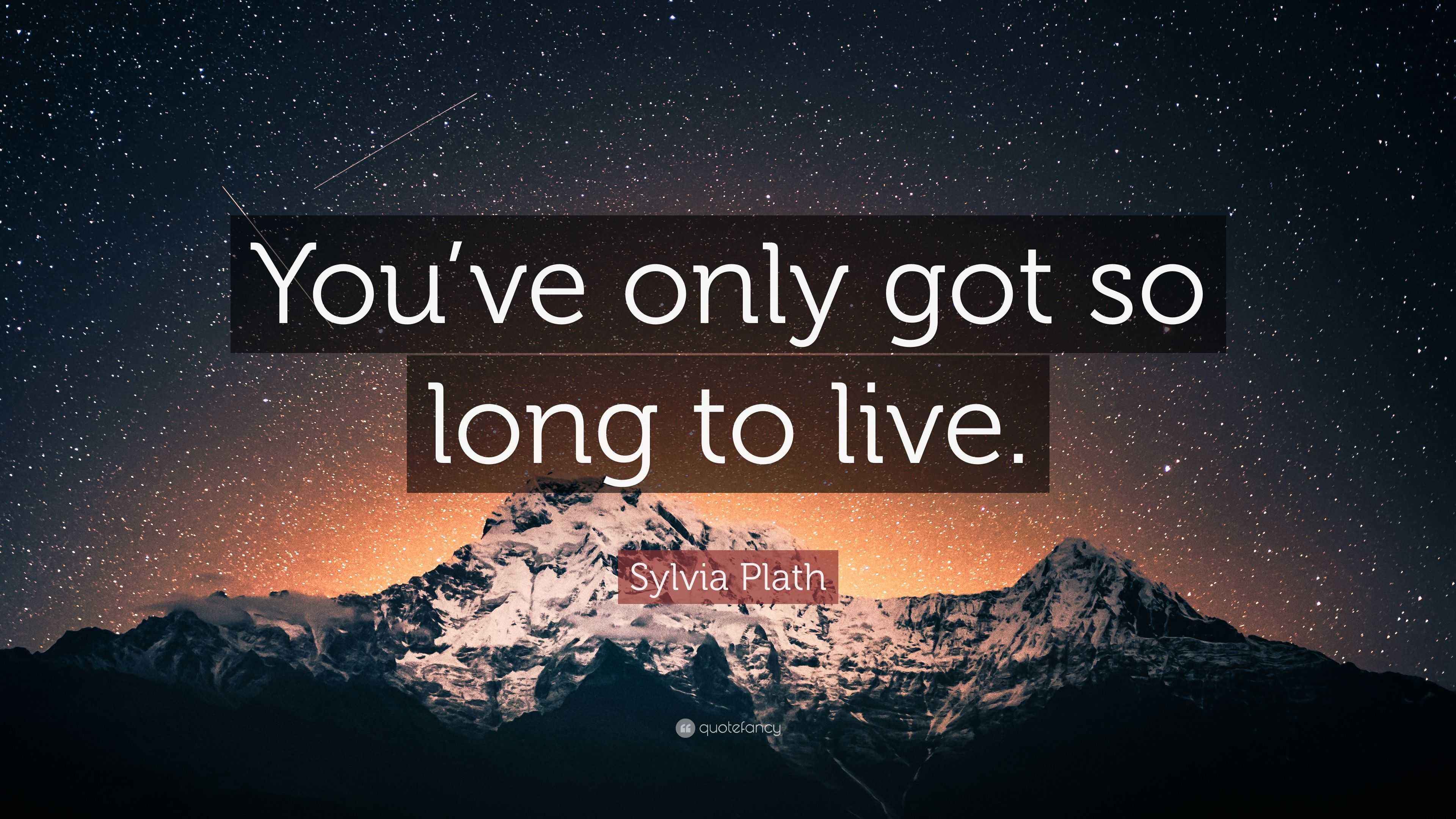 Sylvia Plath Quote: “You’ve only got so long to live.”