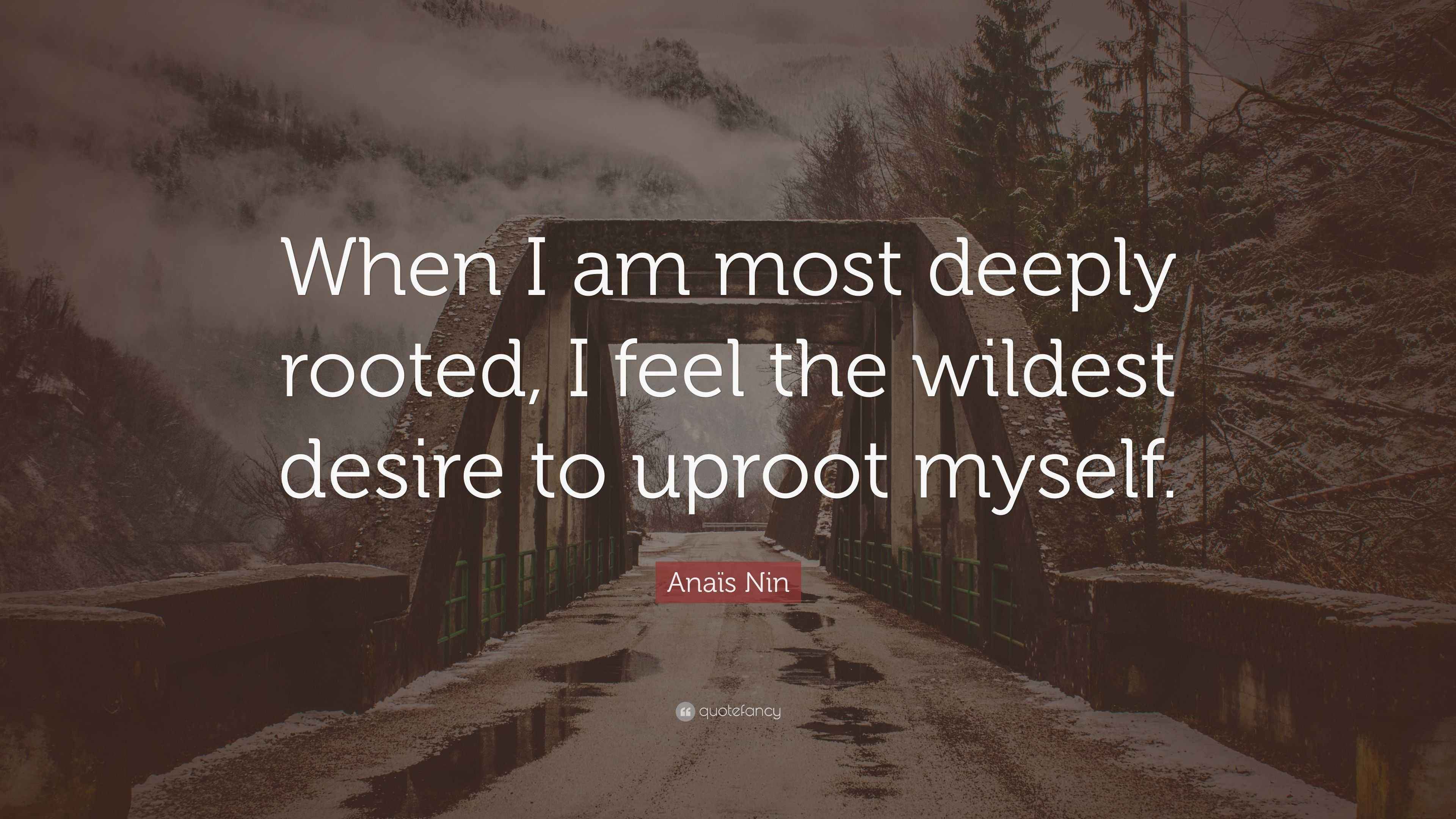 Anaïs Nin Quote: “When I am most deeply rooted, I feel the wildest ...