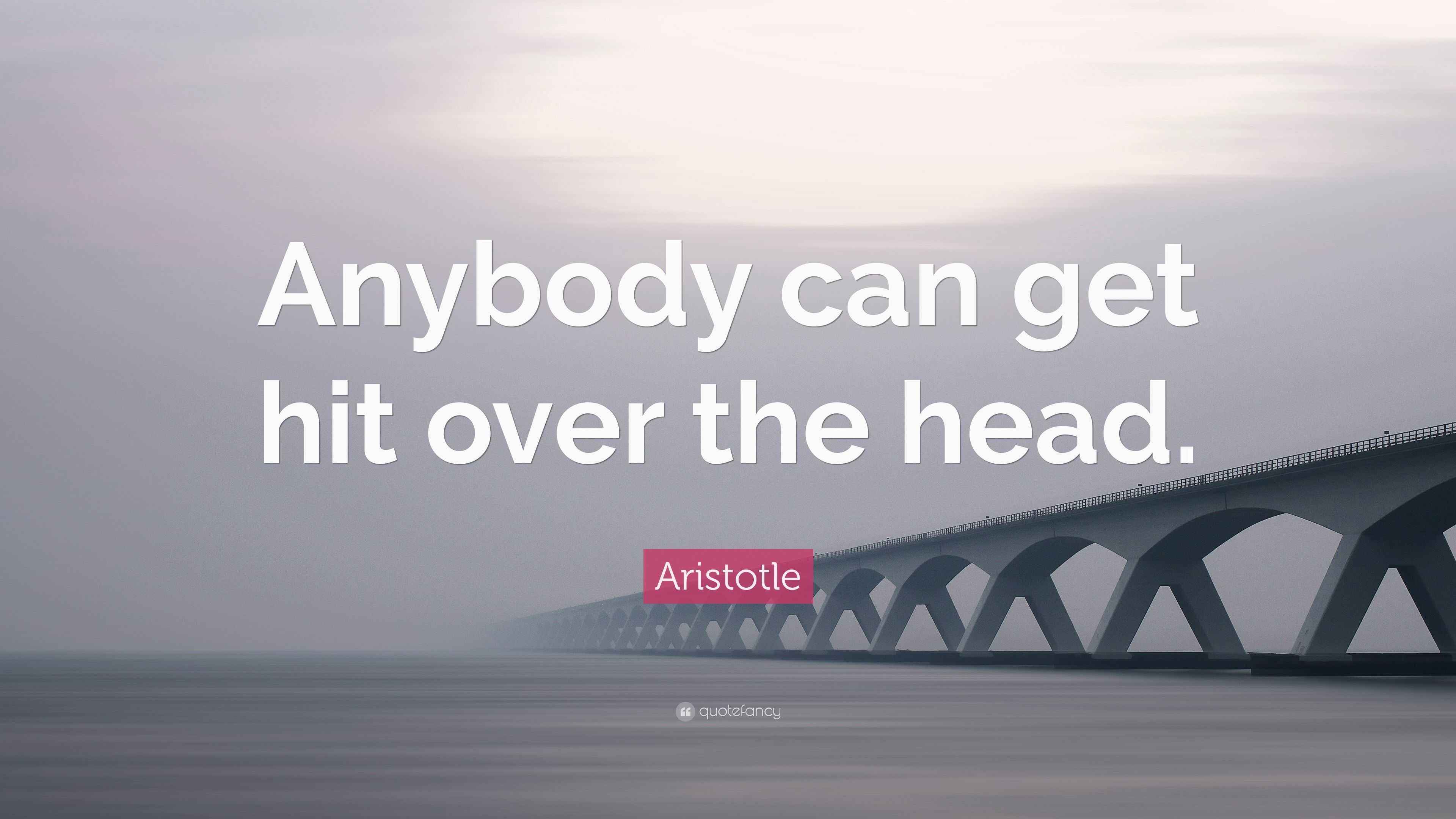 Aristotle Quote: “Anybody can get hit over the head.”