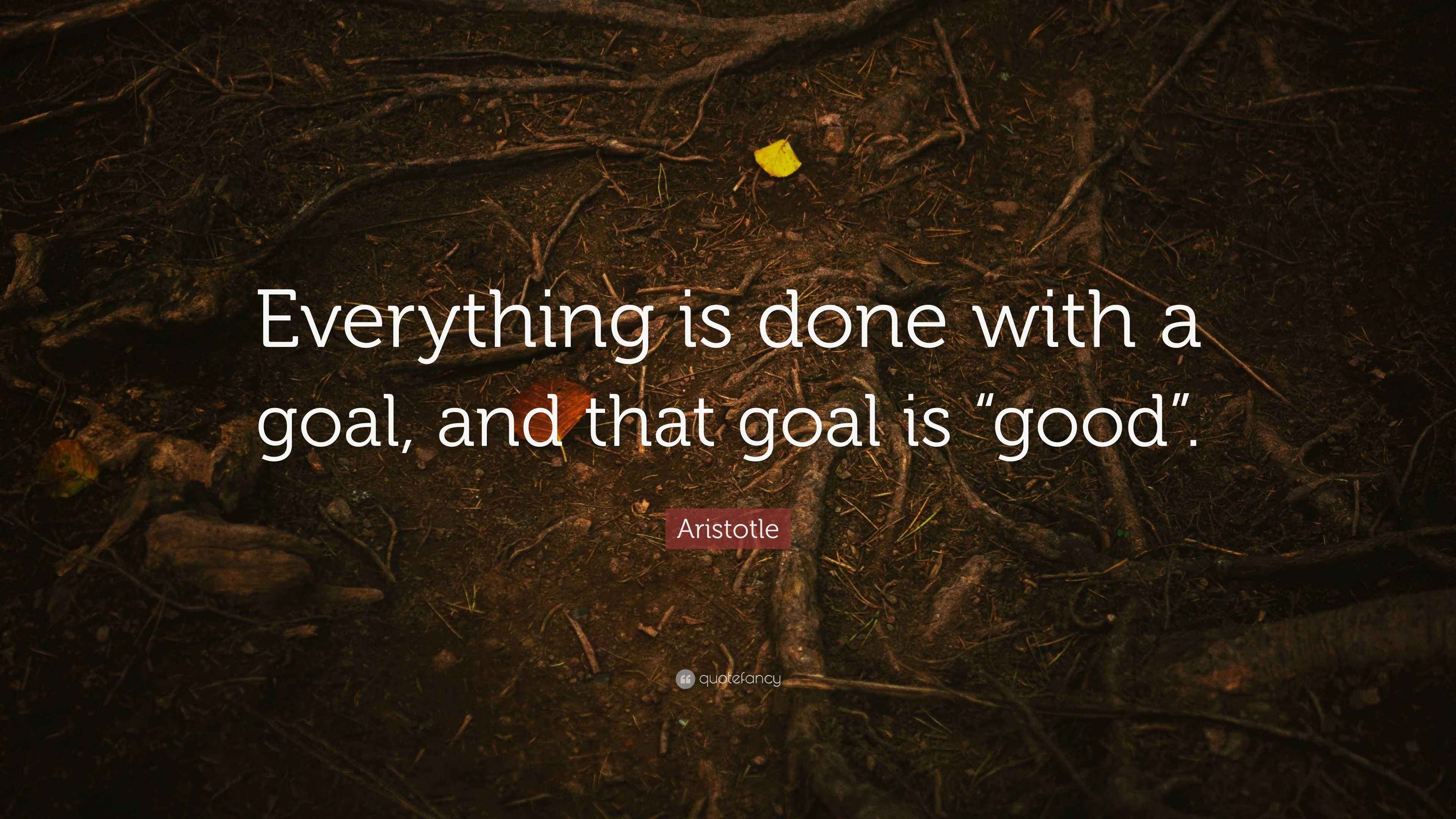 Aristotle Quote: “Everything is done with a goal, and that goal is “good”.”