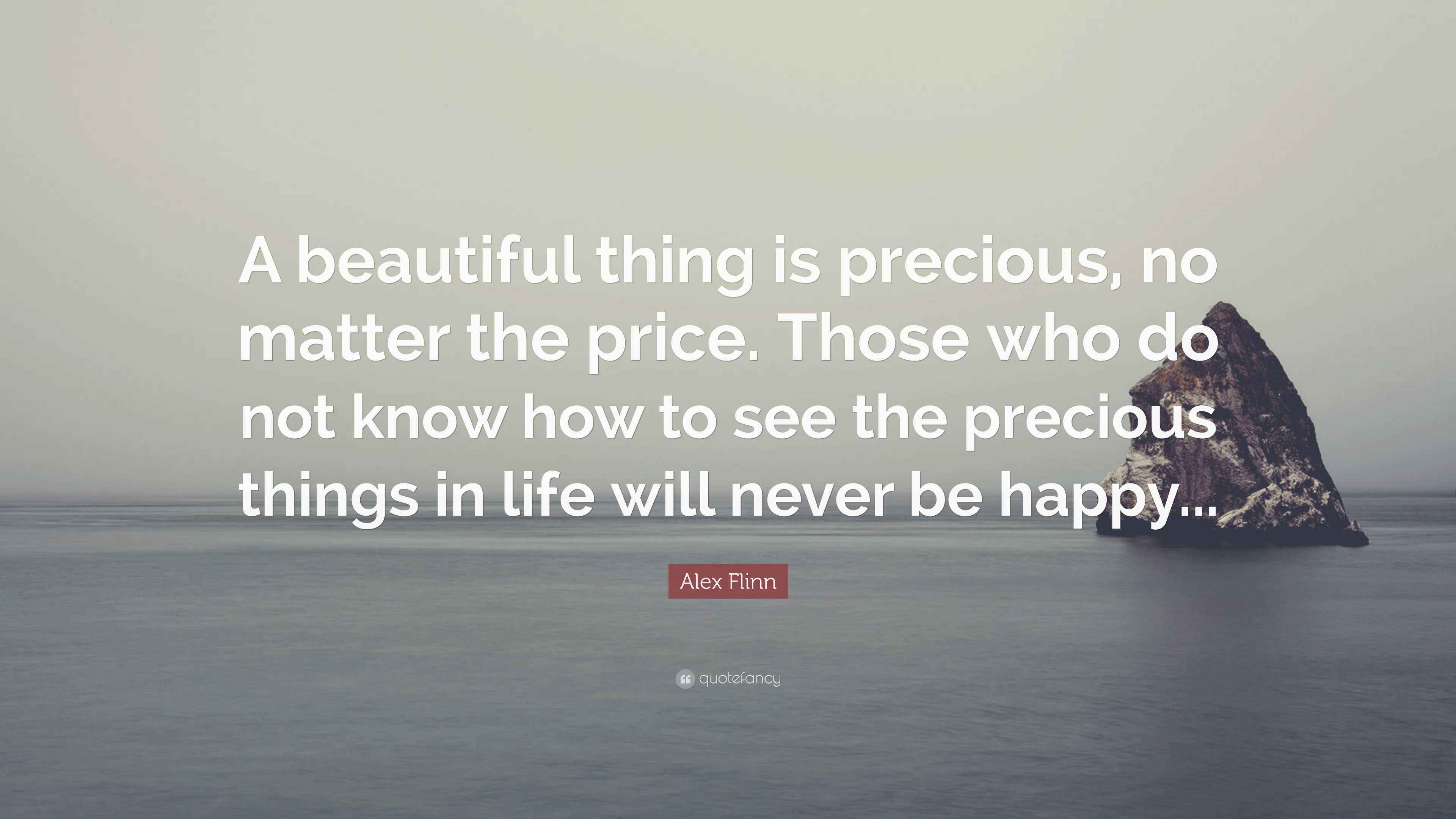 Alex Flinn Quote: “A beautiful thing is precious, no matter the price ...