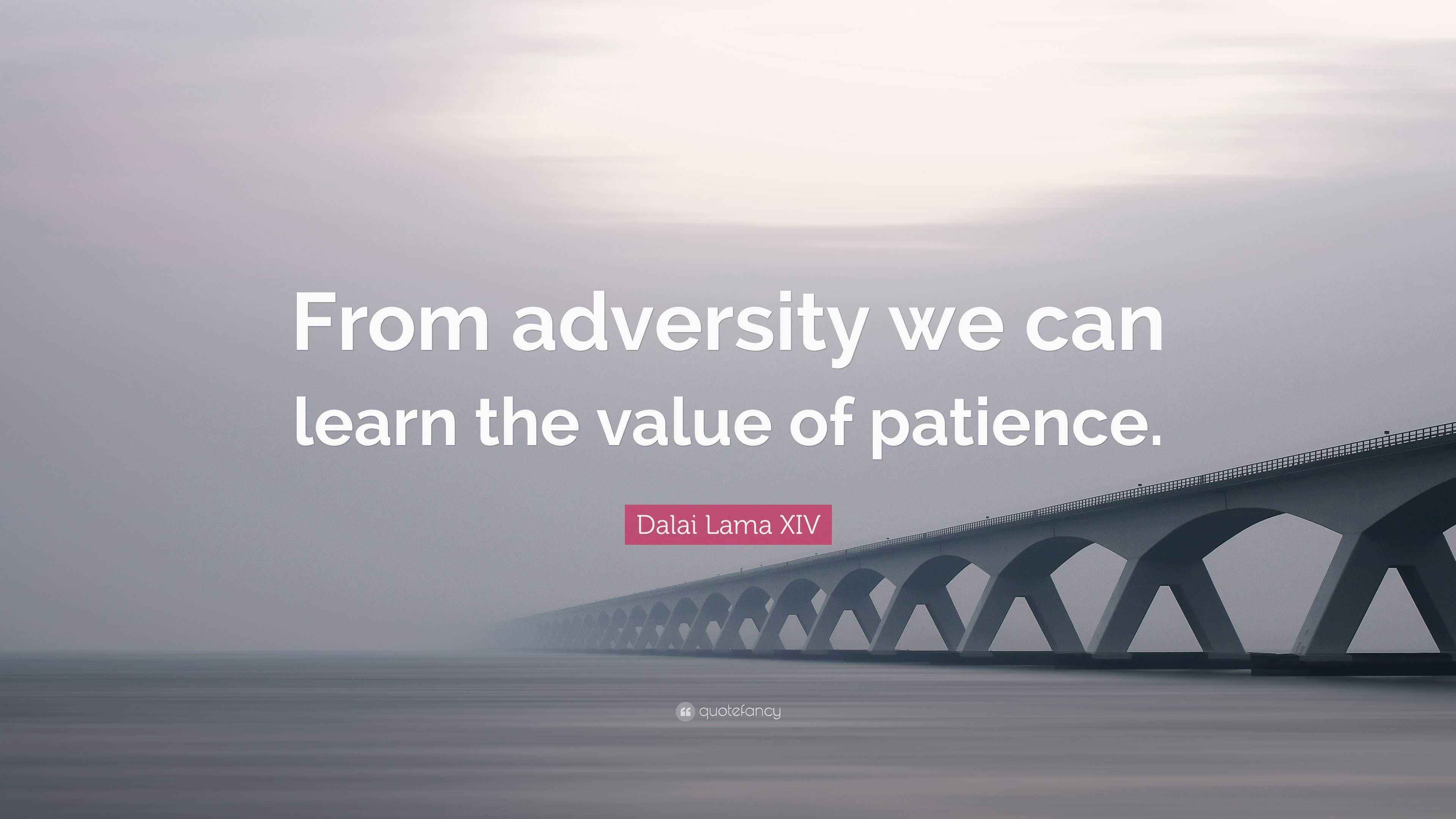Dalai Lama XIV Quote: “From adversity we can learn the value of patience.”