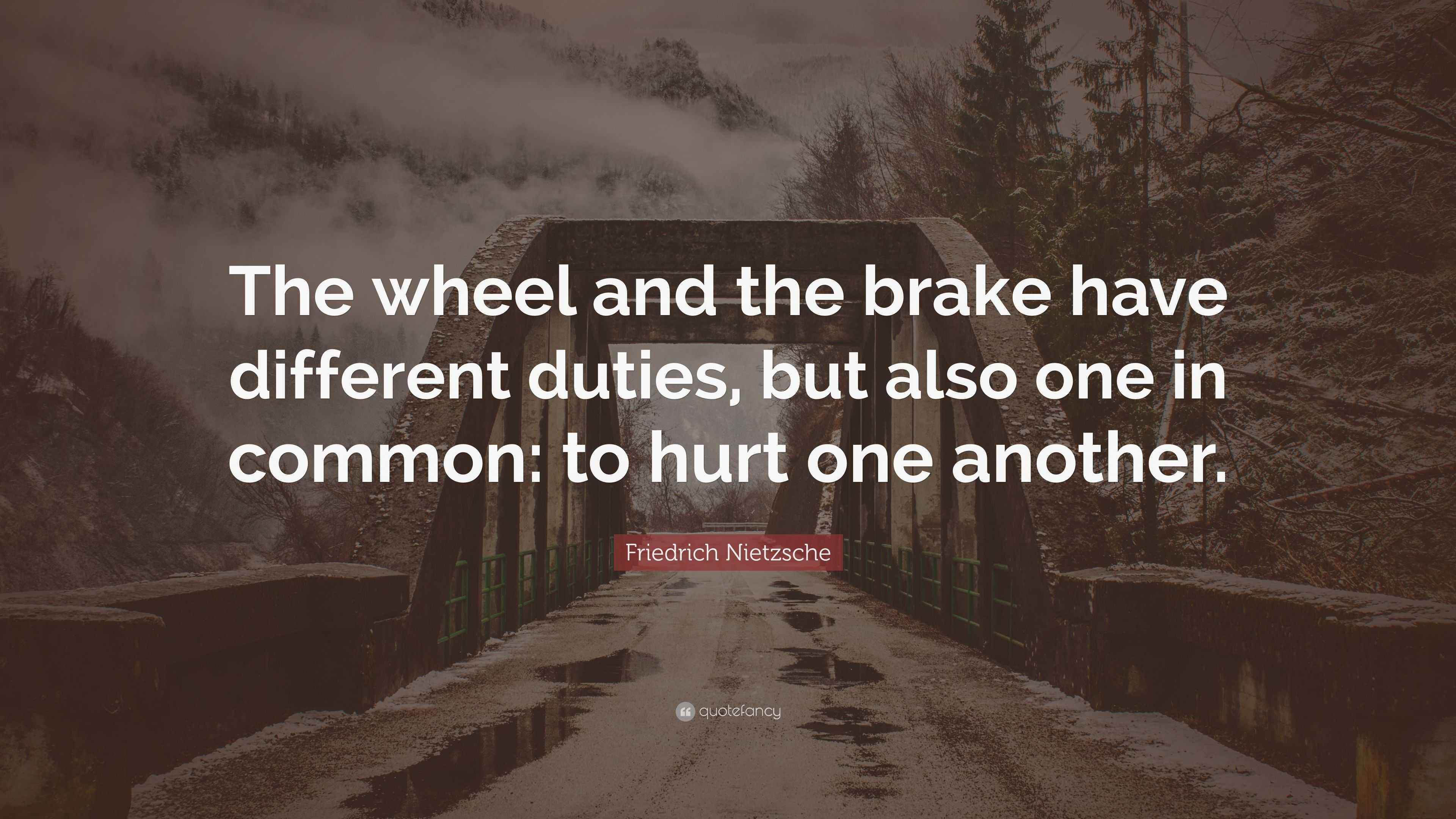 Friedrich Nietzsche Quote: “The wheel and the brake have different ...